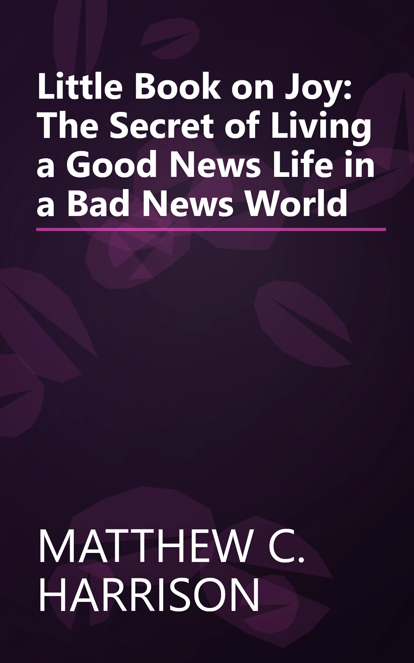 Little Book on Joy: The Secret of Living a Good News Life in a Bad News World book cover