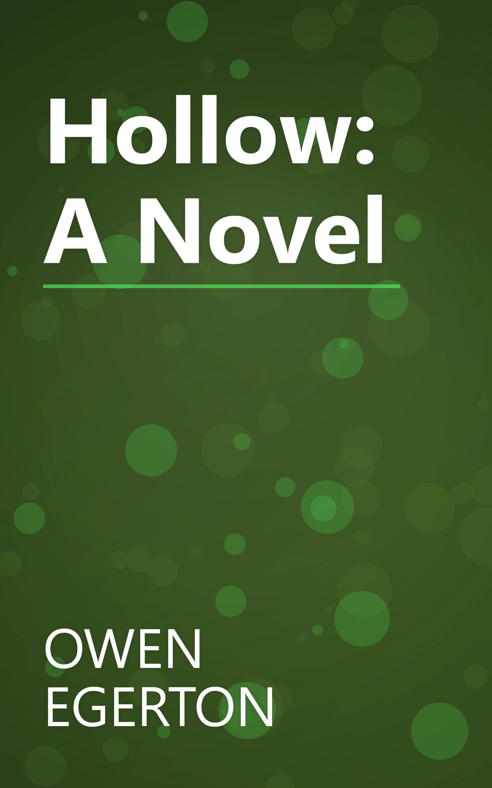 Hollow: A Novel book cover