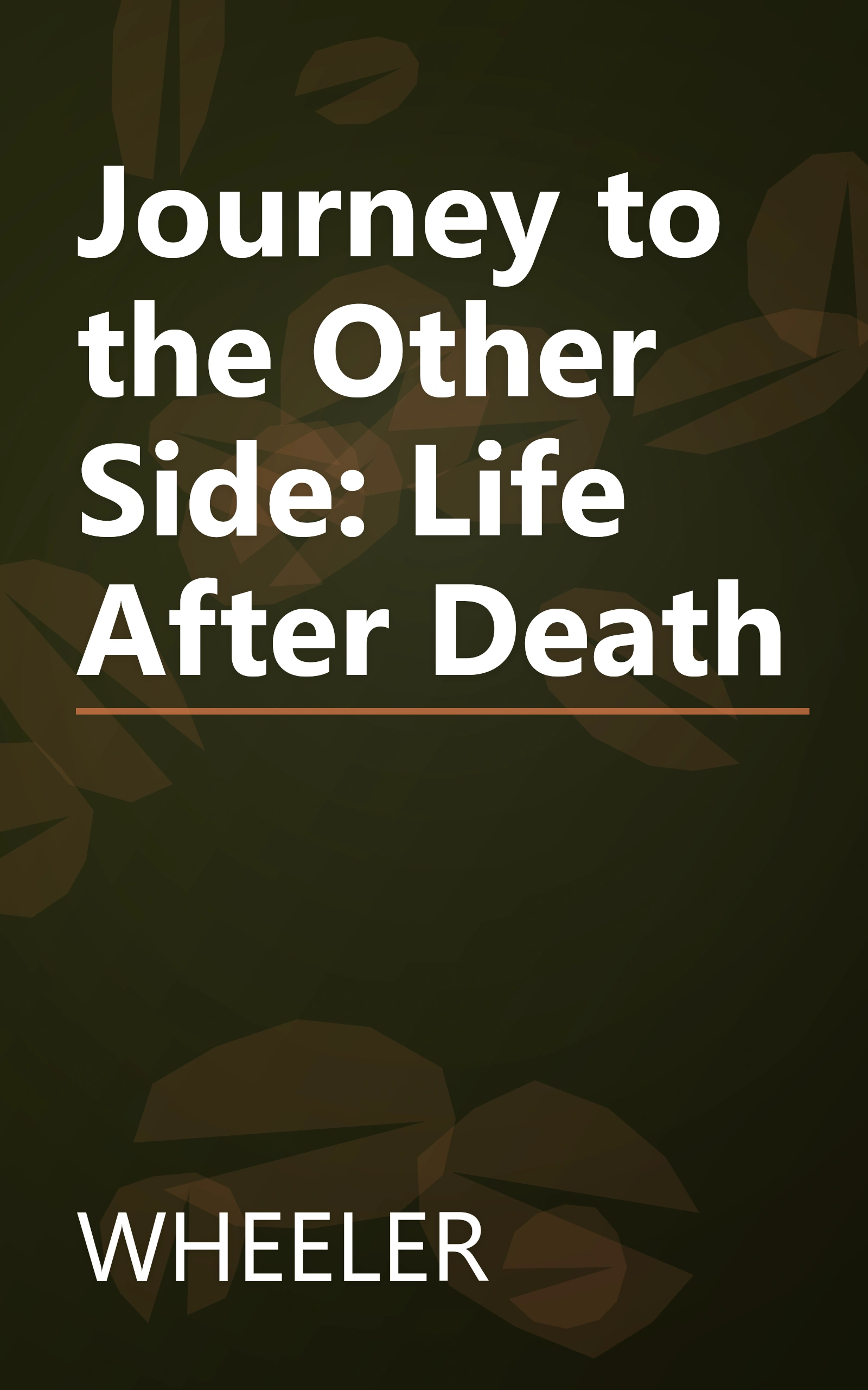Journey to the Other Side: Life After Death book cover