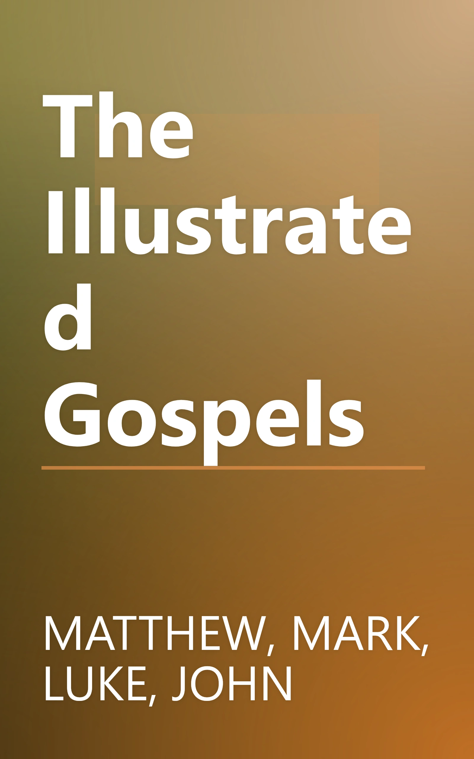 The Illustrated Gospels book cover