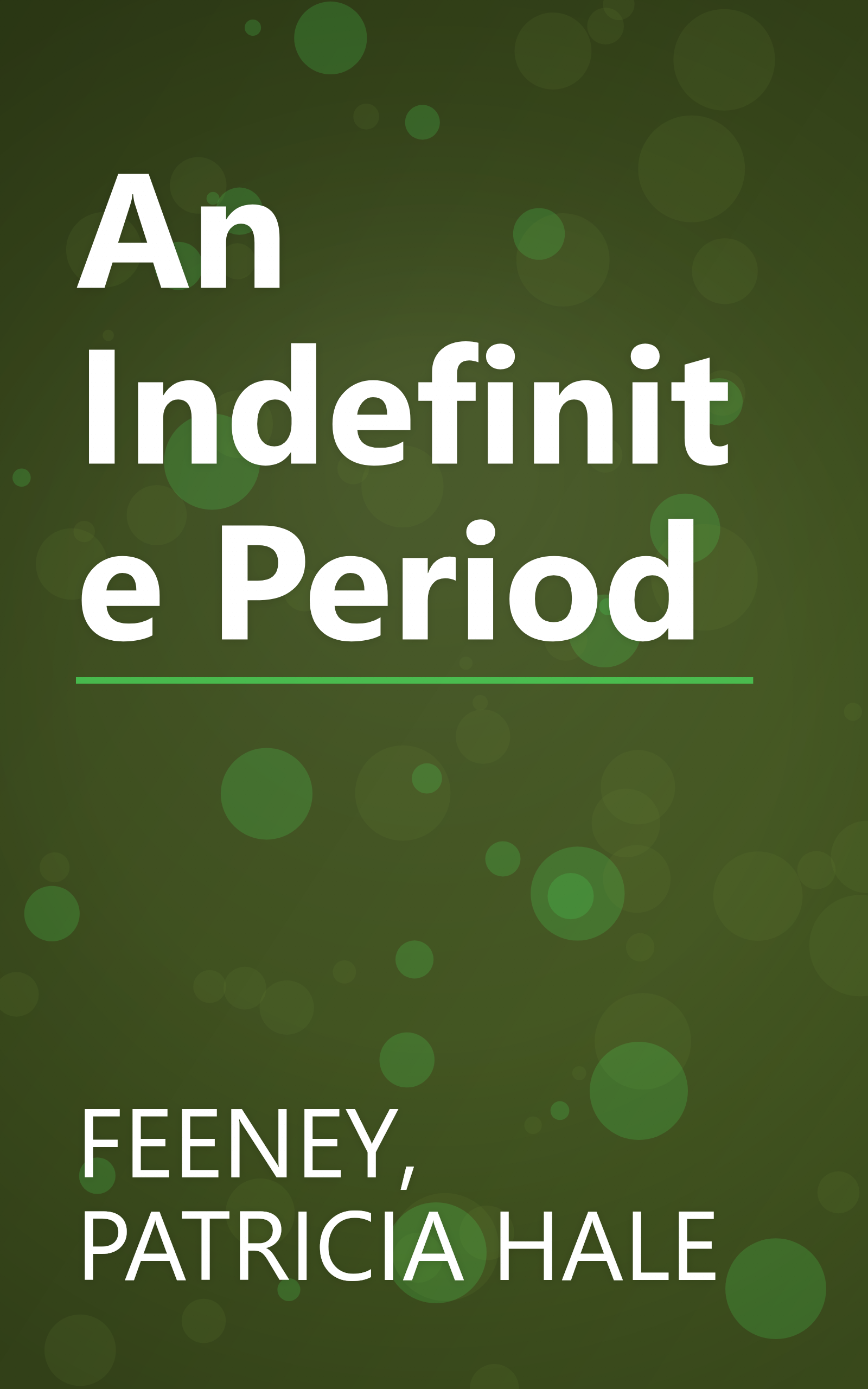 An Indefinite Period book cover