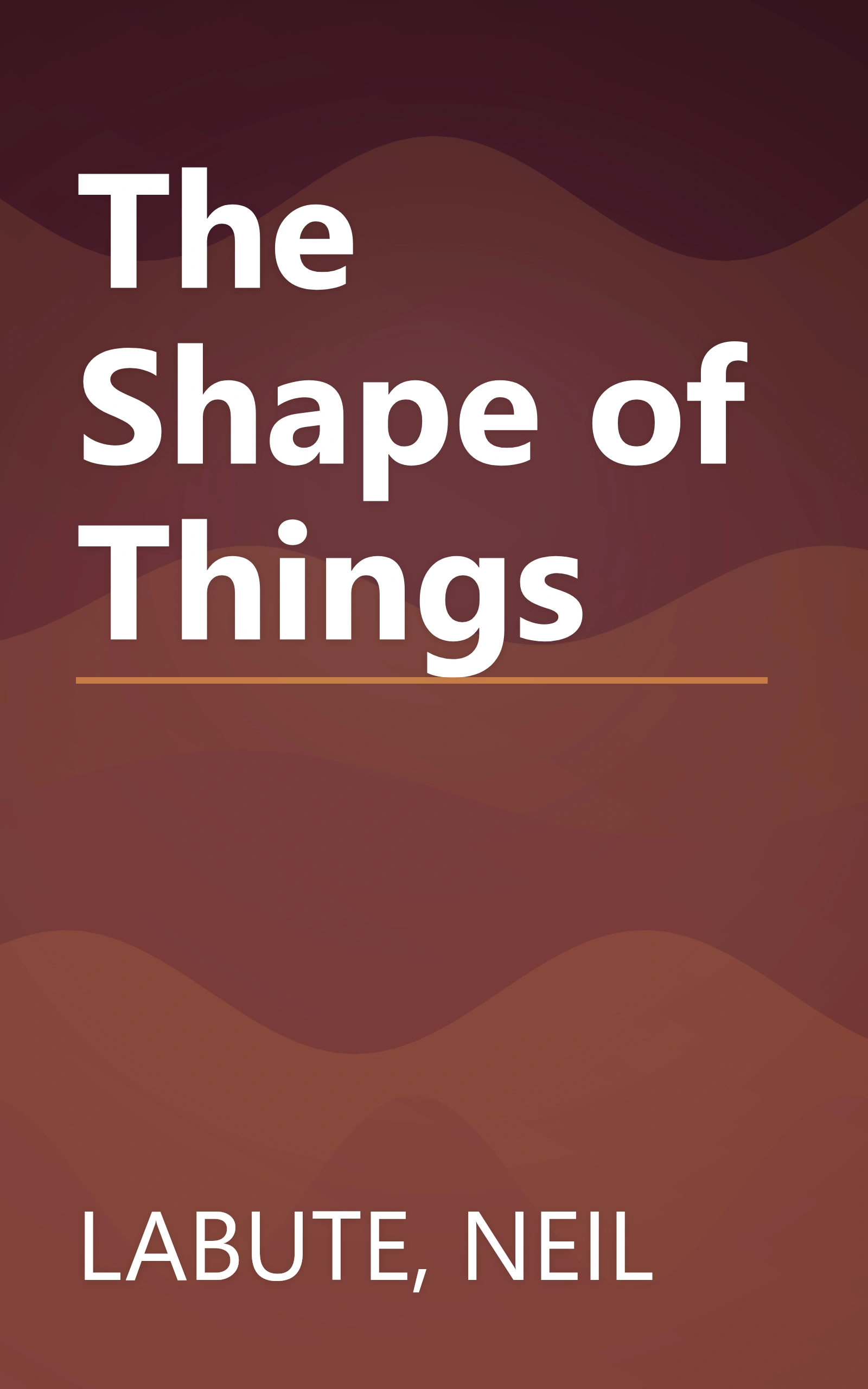 The Shape of Things book cover