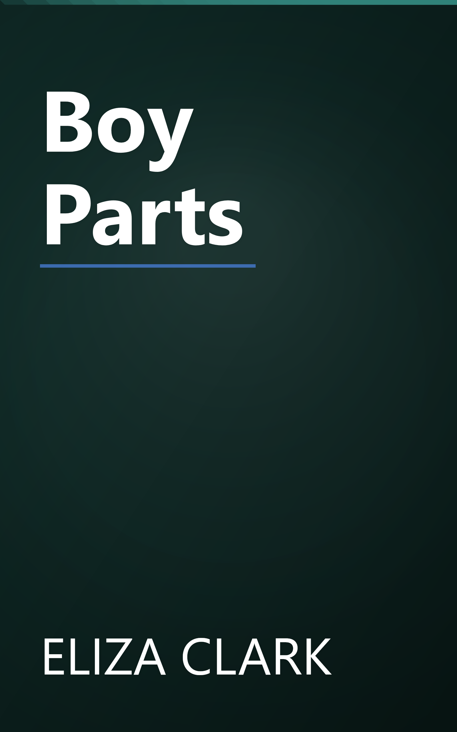 Boy Parts book cover