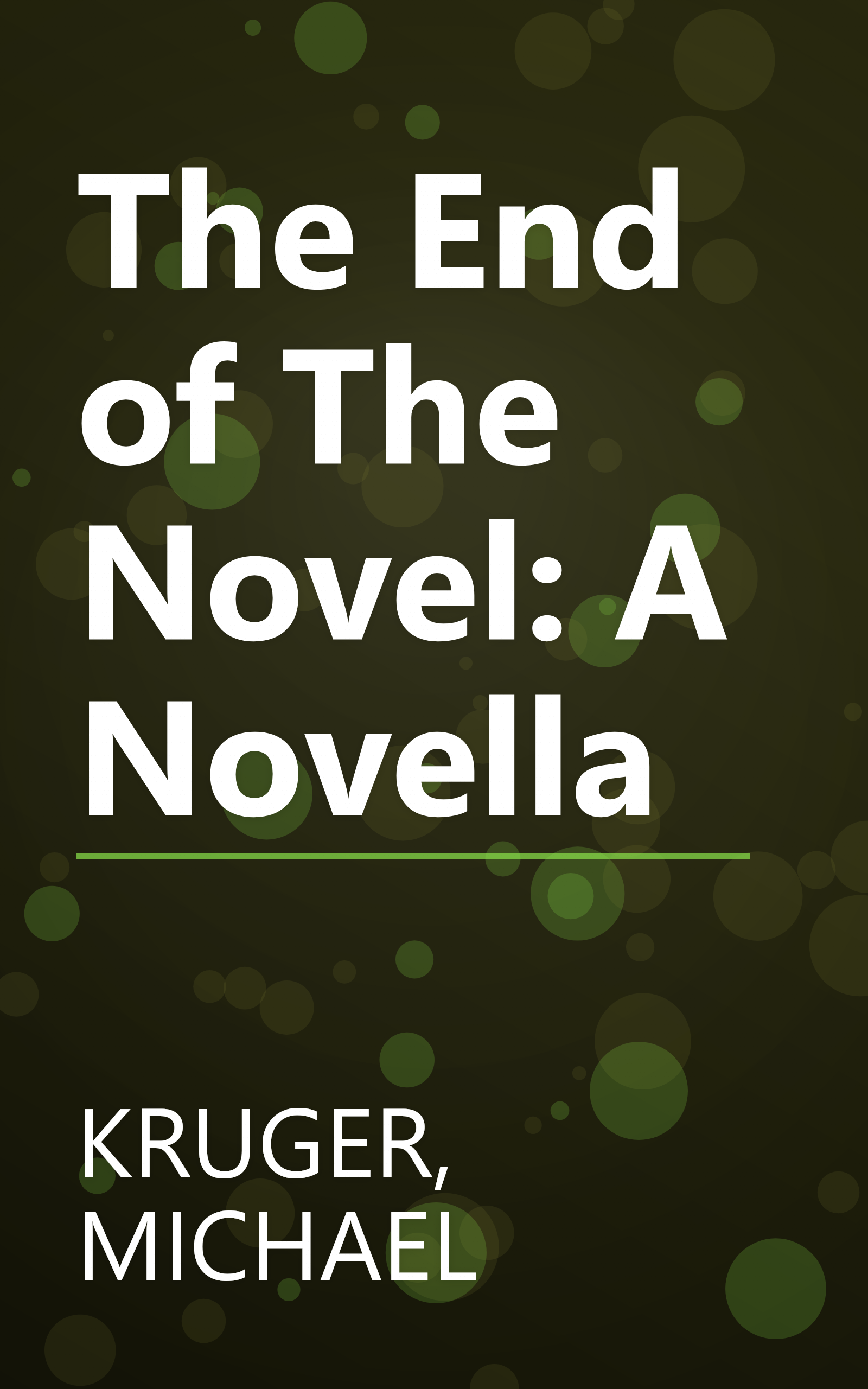 The End of The Novel: A Novella book cover