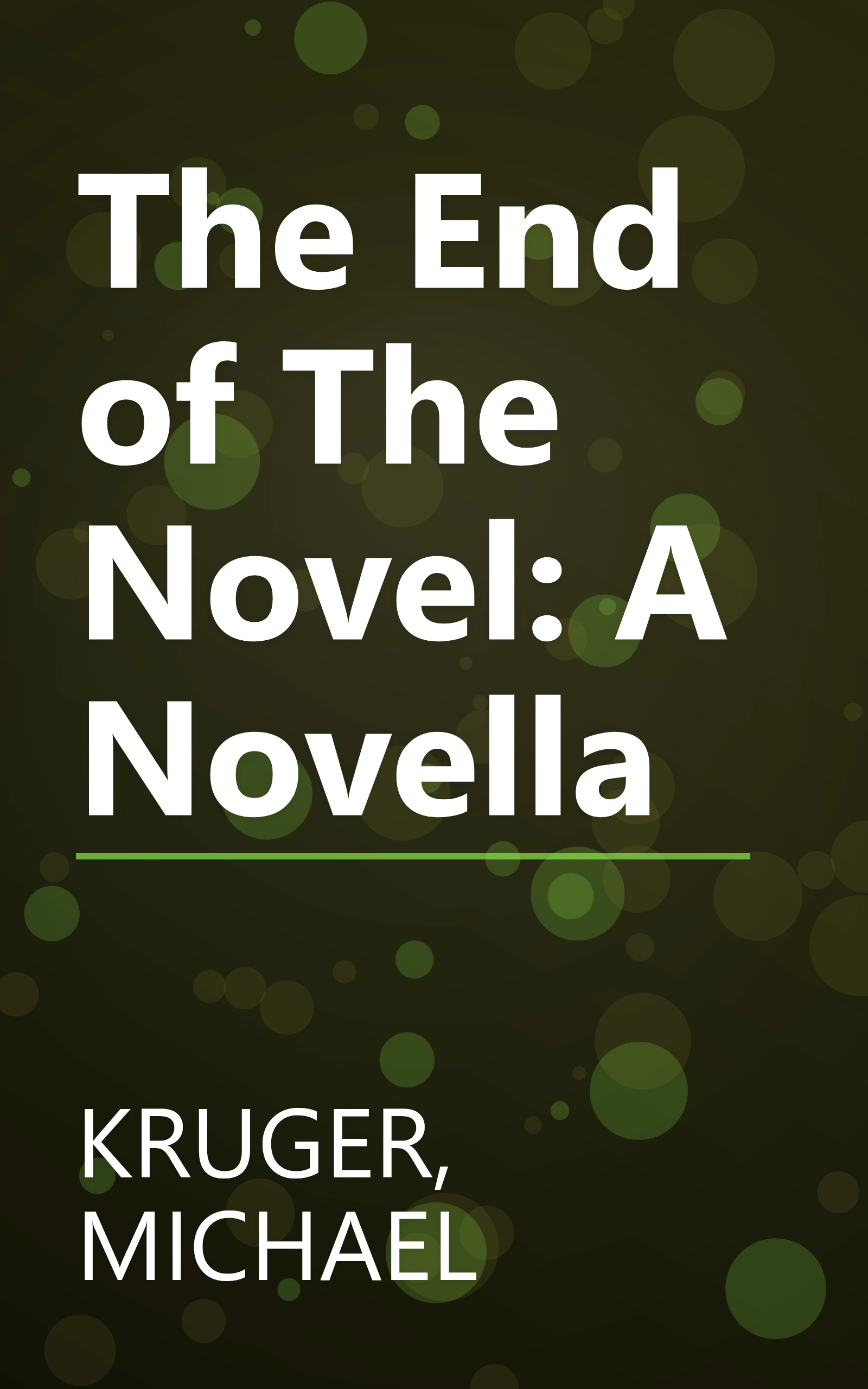 The End of The Novel: A Novella book cover