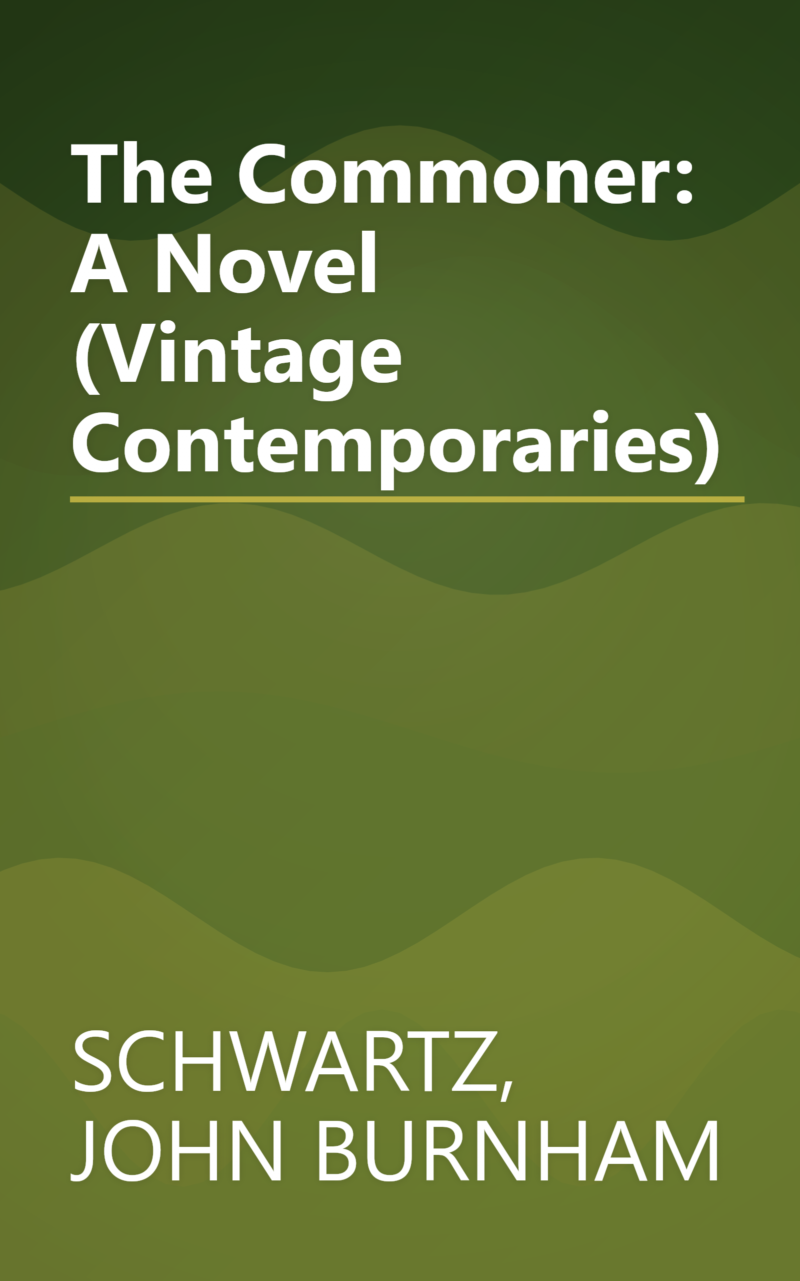 The Commoner: A Novel (Vintage Contemporaries) book cover