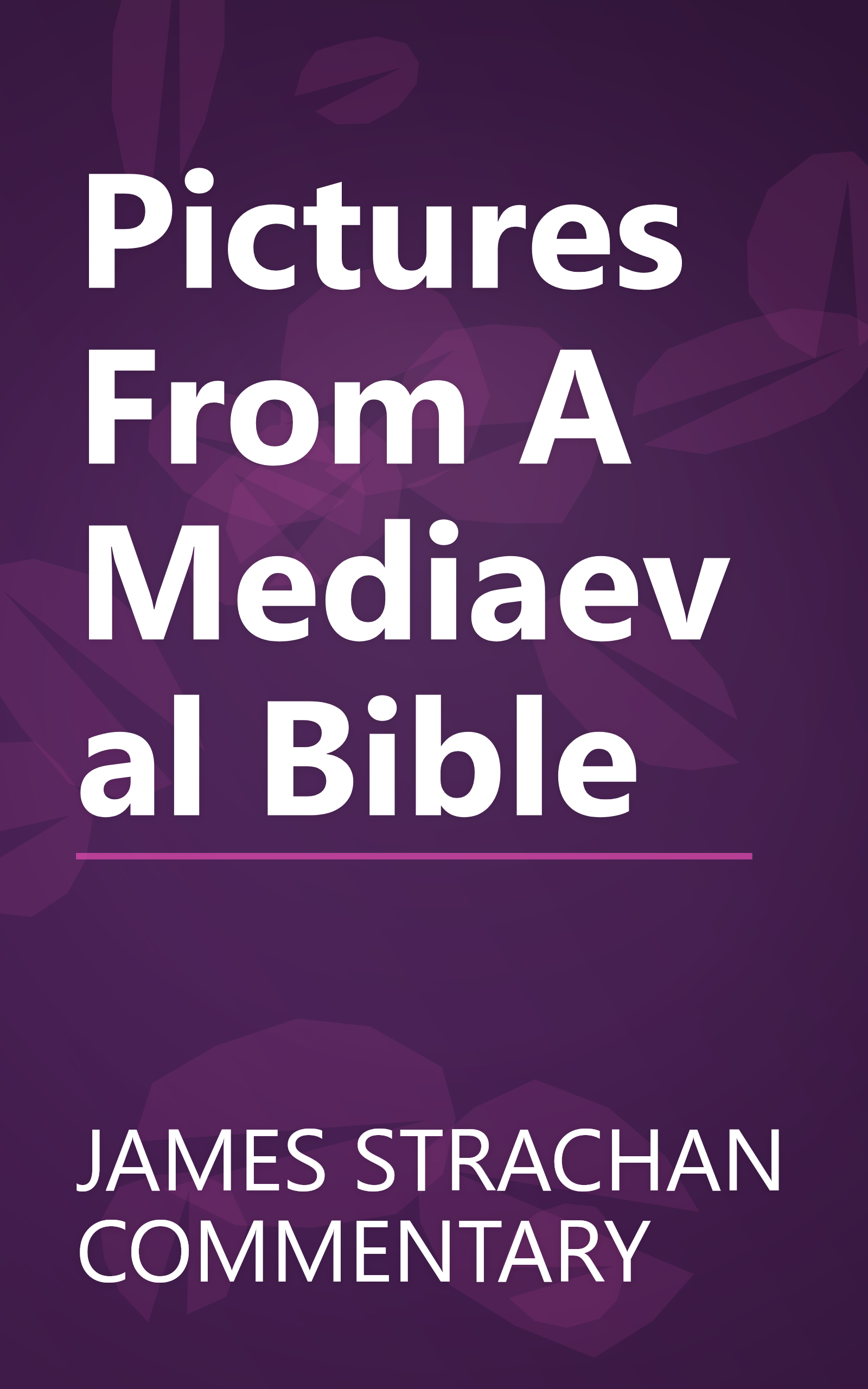 Pictures From A Mediaeval Bible book cover