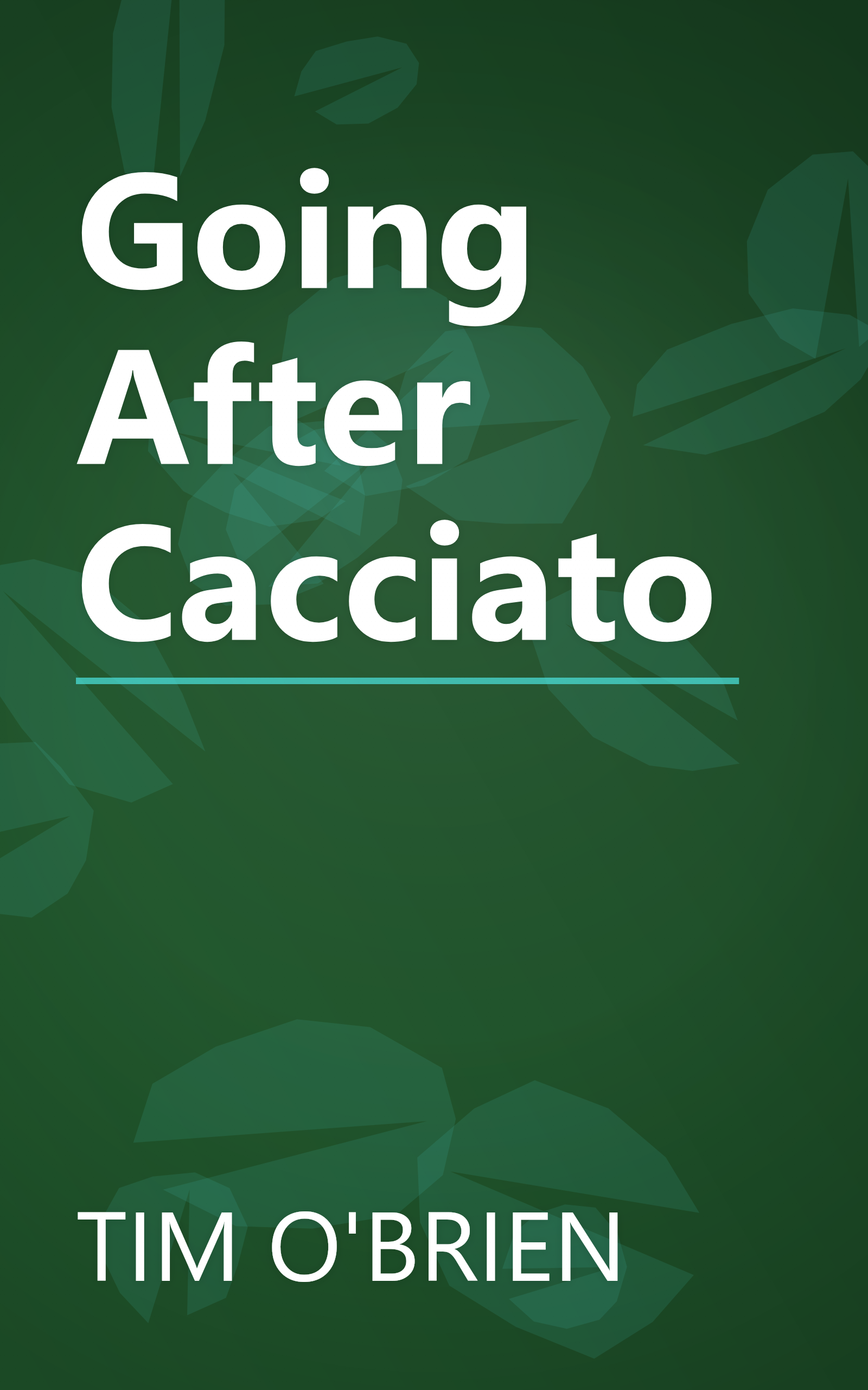 Going After Cacciato book cover