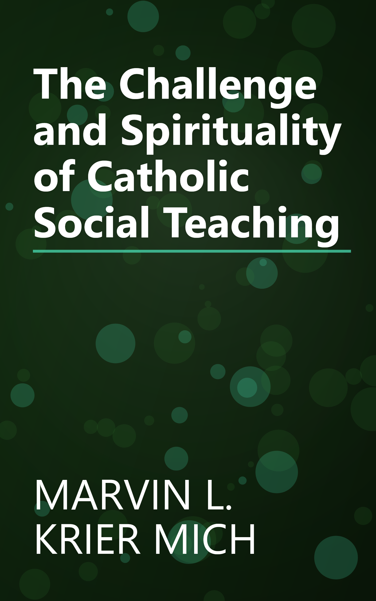 The Challenge and Spirituality of Catholic Social Teaching book cover
