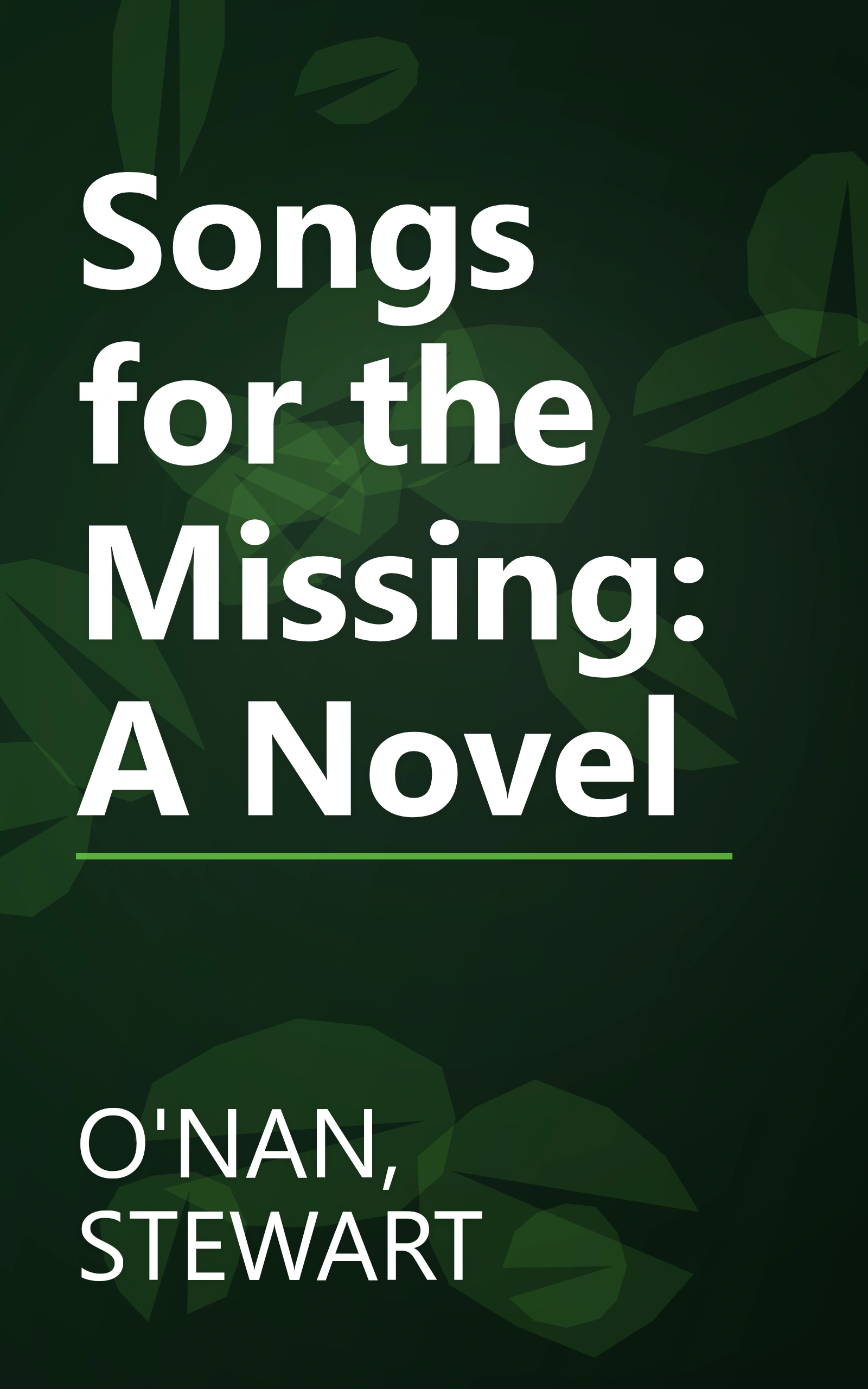 Songs for the Missing: A Novel book cover
