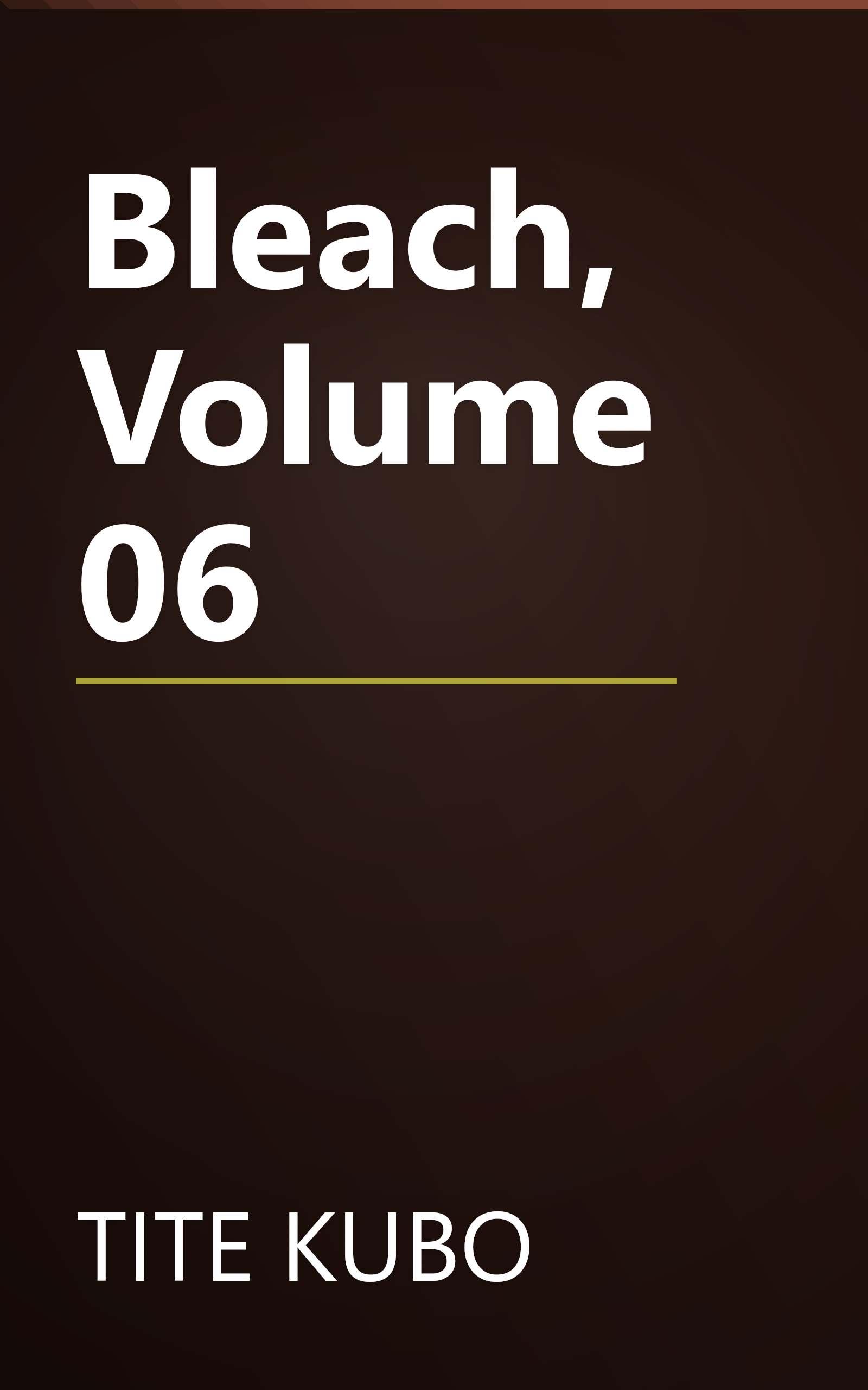 Bleach, Volume 06 book cover