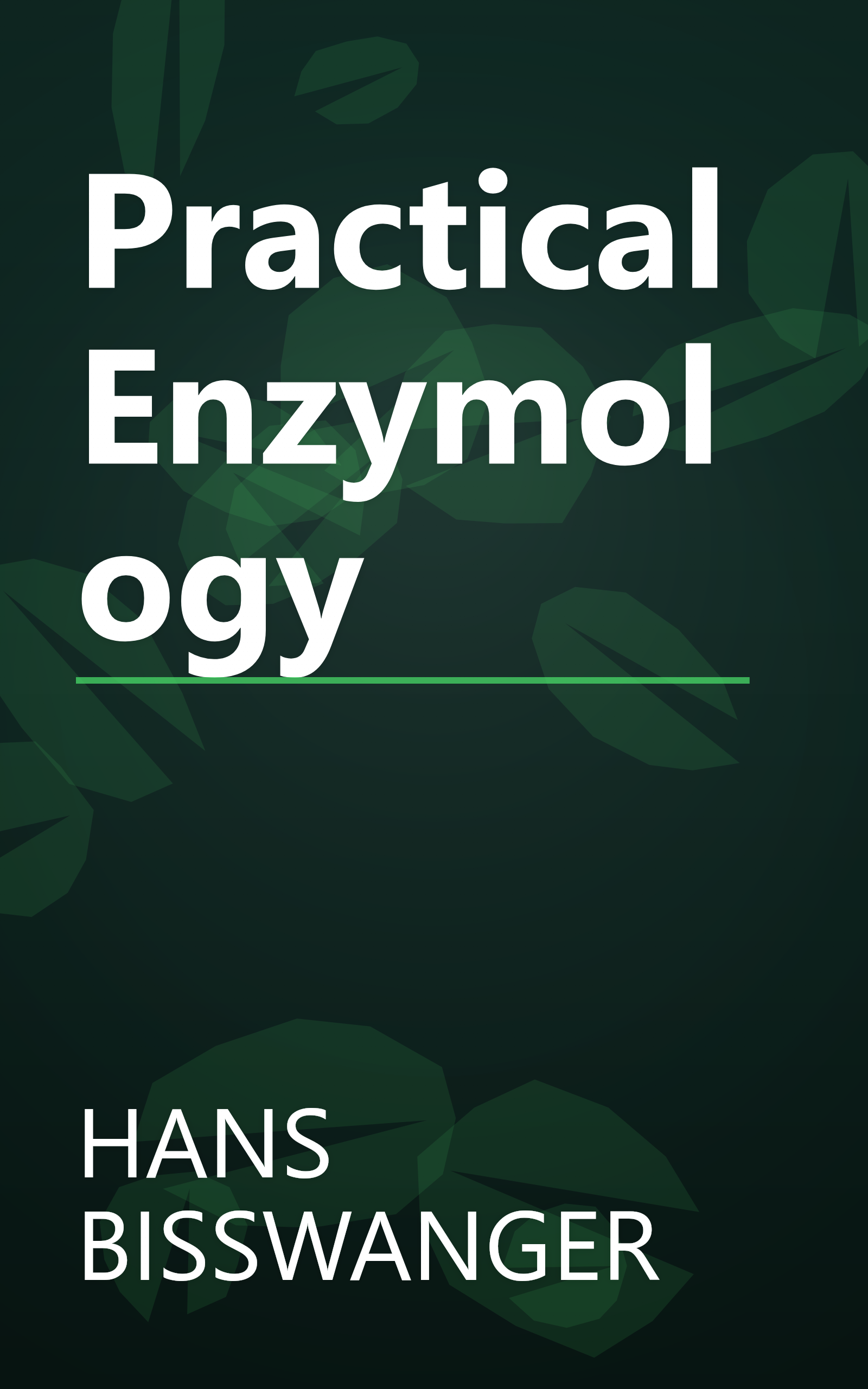 Practical Enzymology book cover