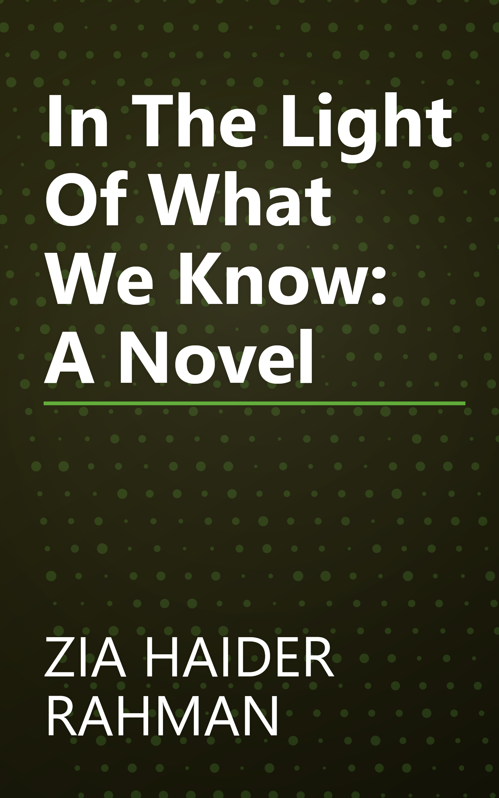 In The Light Of What We Know: A Novel book cover