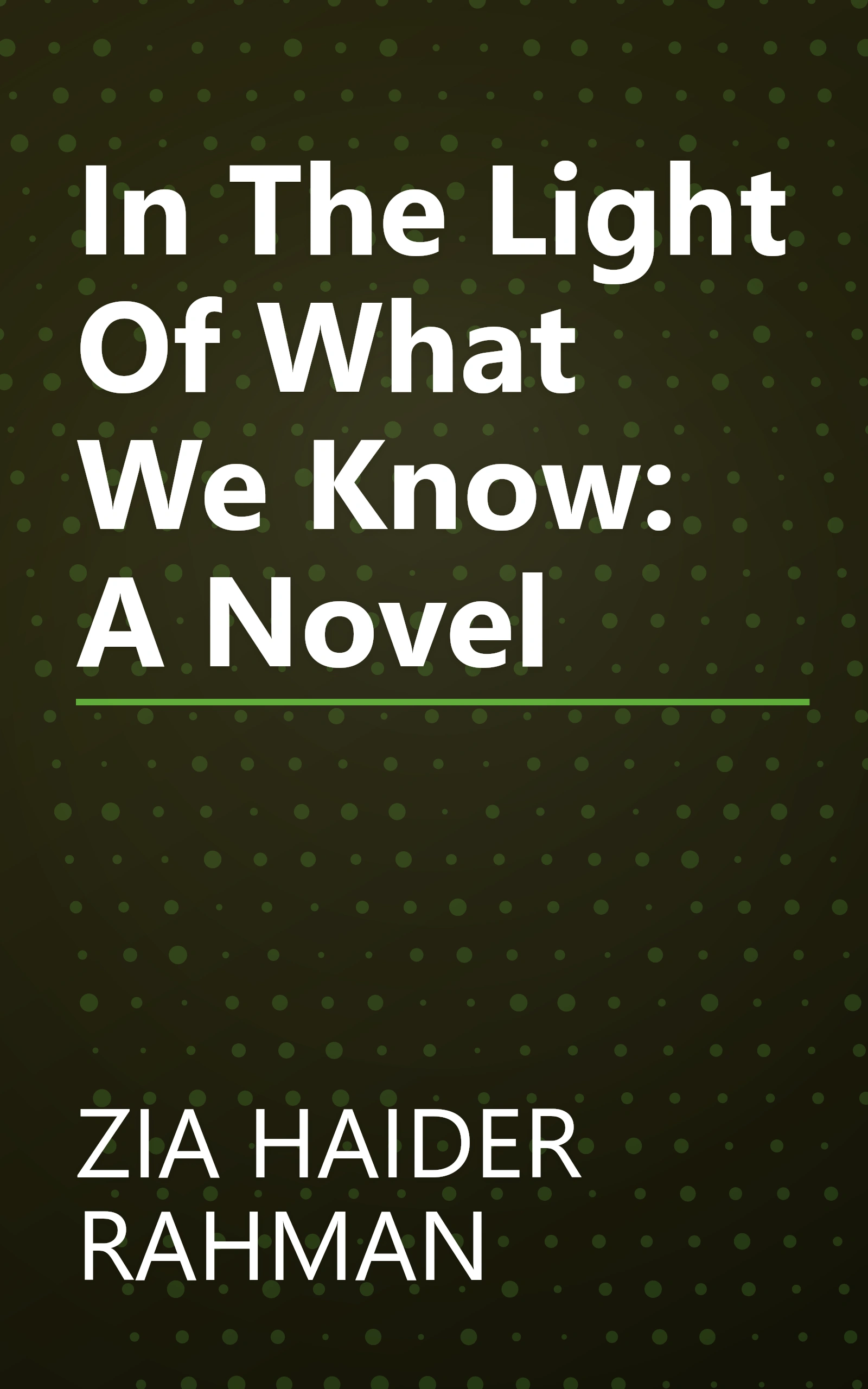 In The Light Of What We Know: A Novel book cover