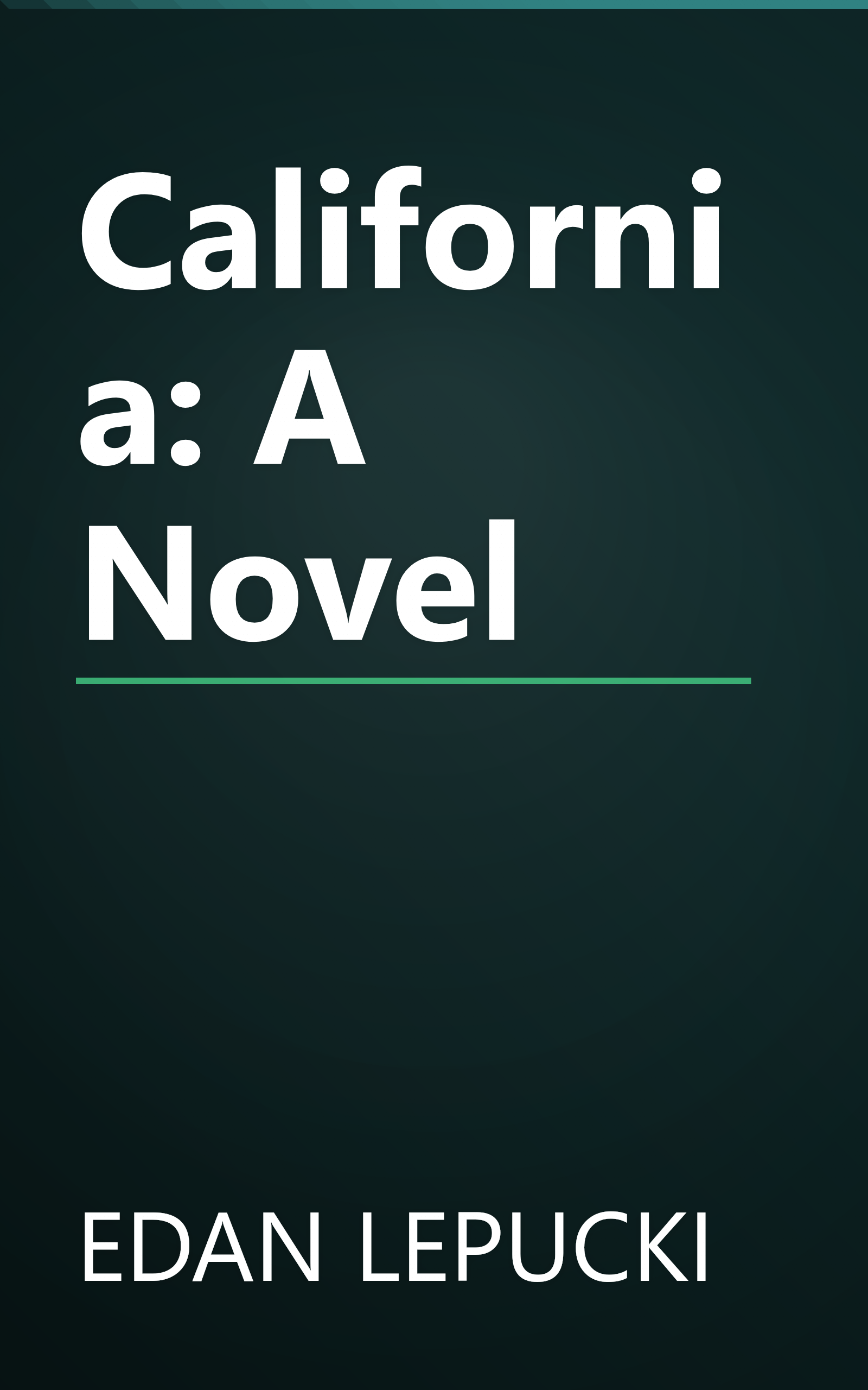 California: A Novel book cover