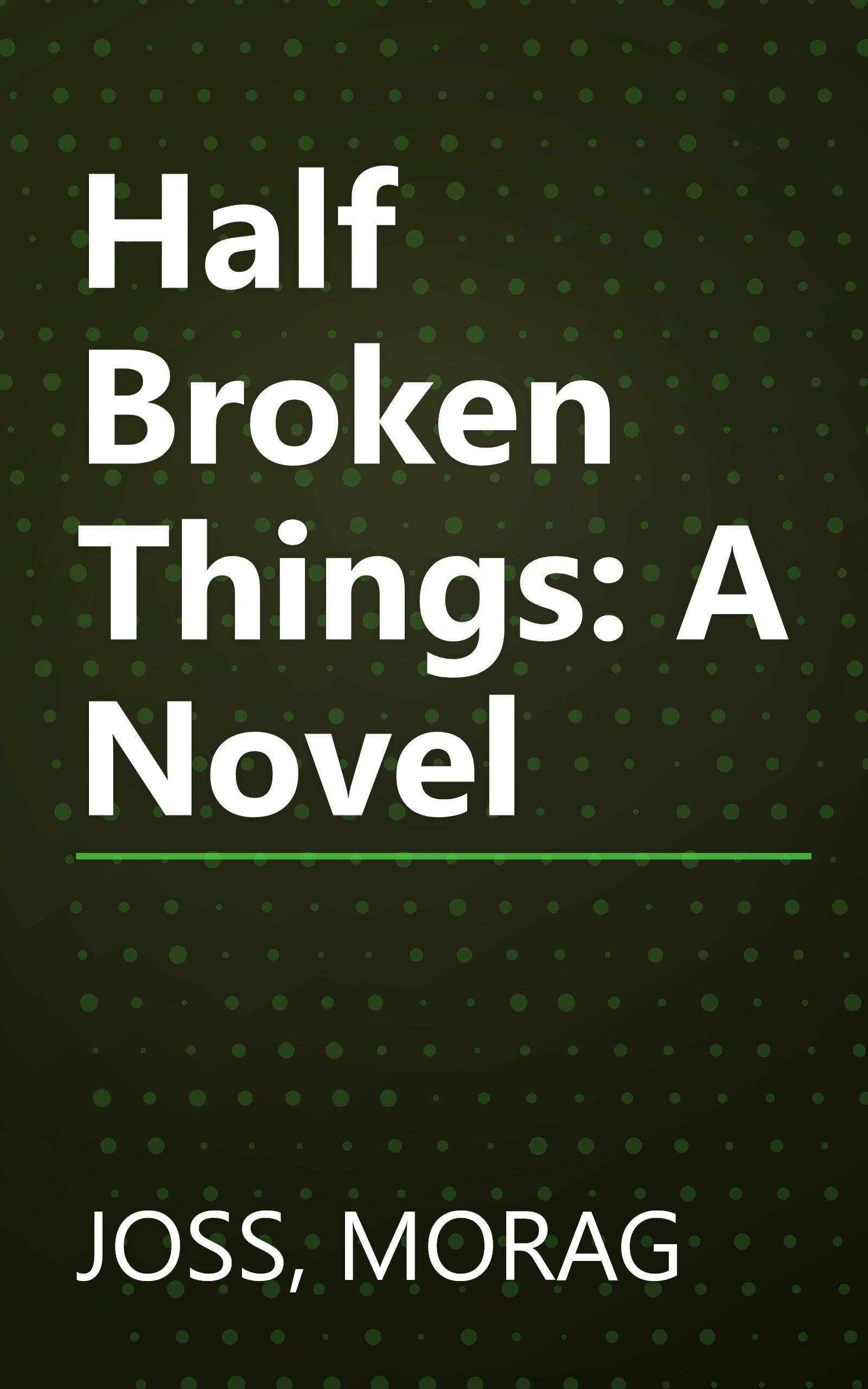 Half Broken Things: A Novel book cover