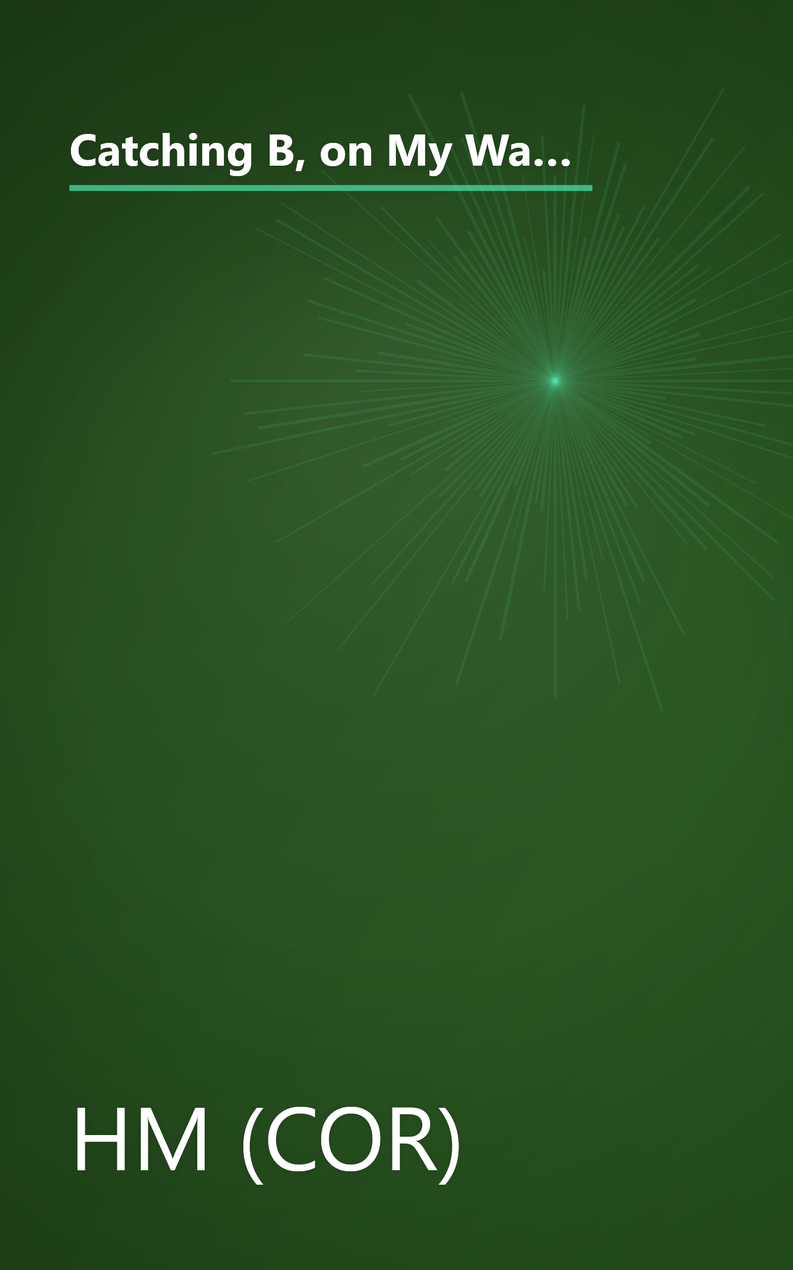 Catching B, on My Way Grade 2 Theme 3: Houghton Mifflin the Nation's Choice (Houghton Mifflin Reading: The Nation's Choice) book cover