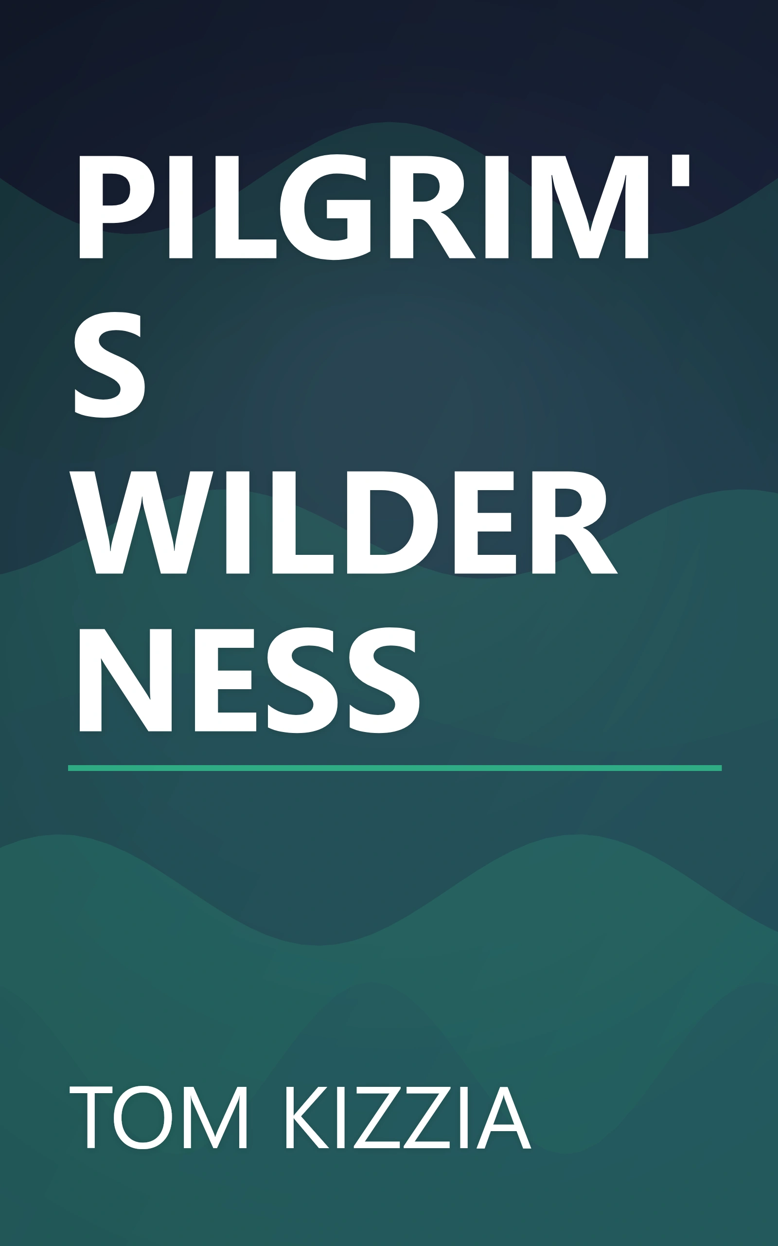 PILGRIM'S WILDERNESS book cover