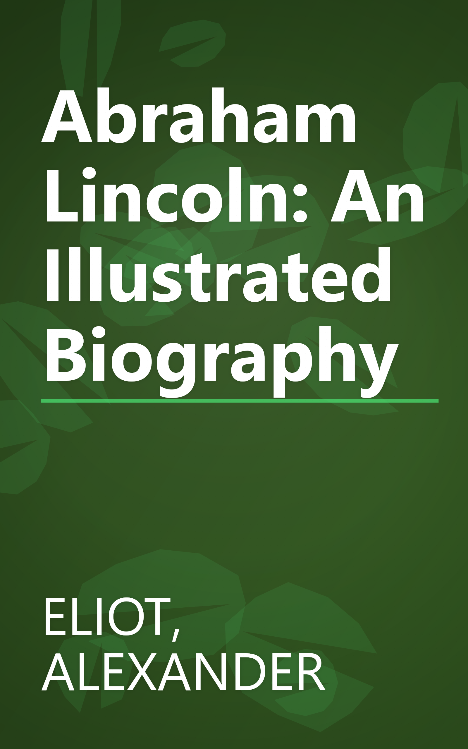 Abraham Lincoln: An Illustrated Biography book cover