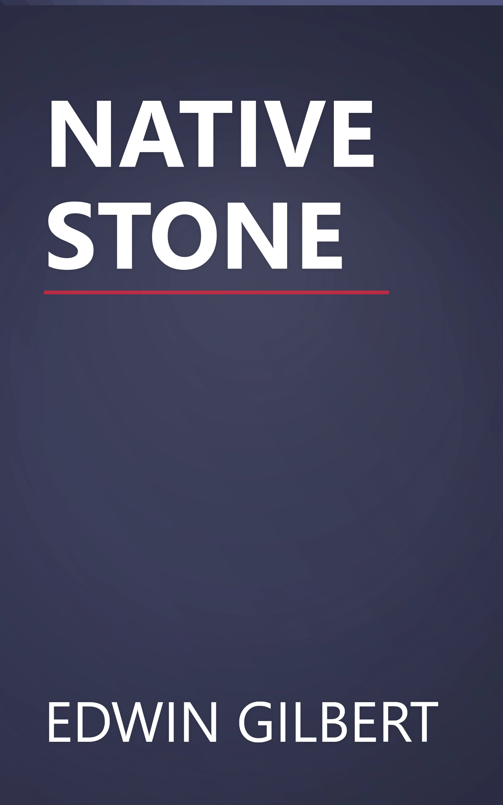 NATIVE STONE book cover