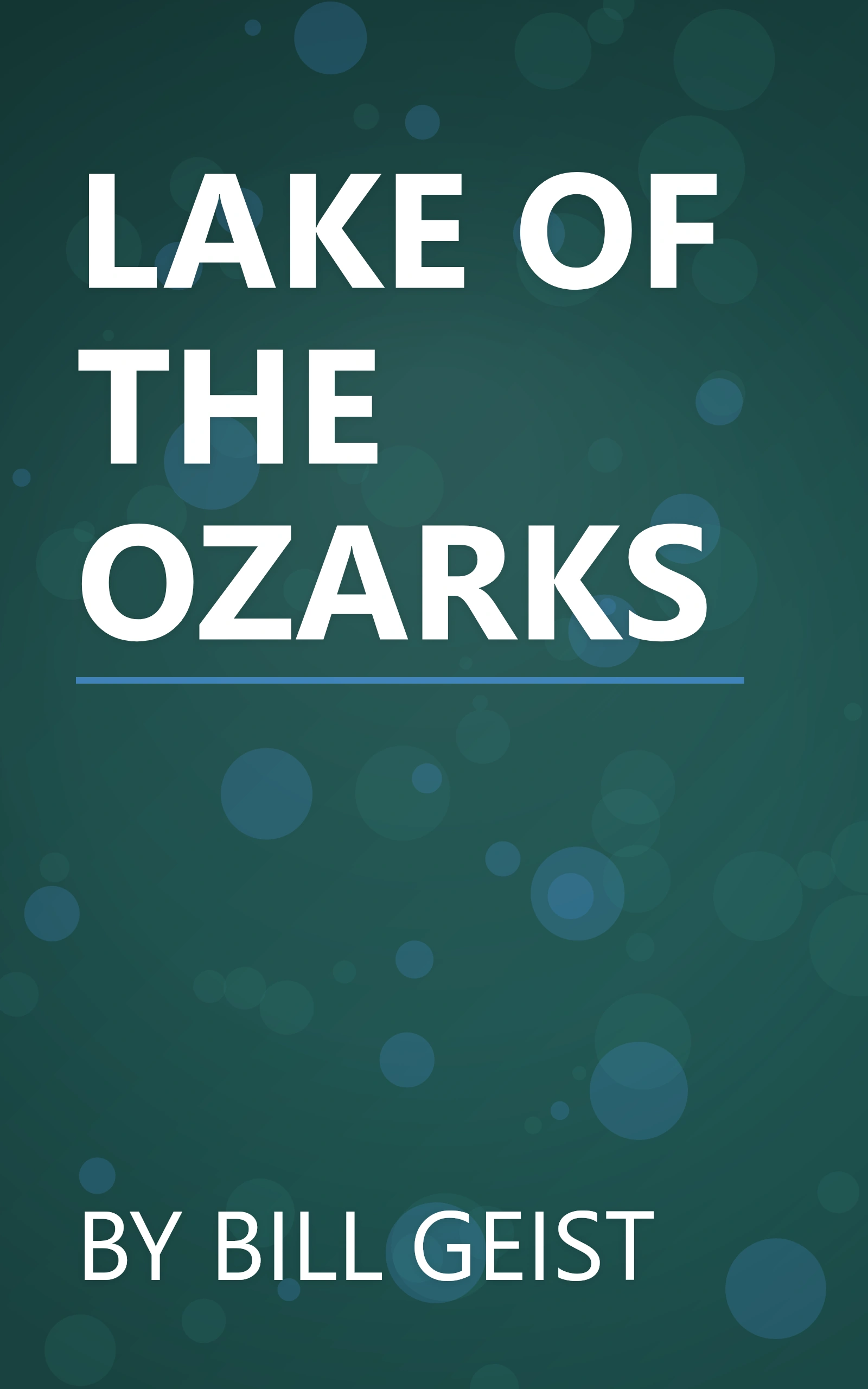 LAKE OF THE OZARKS book cover
