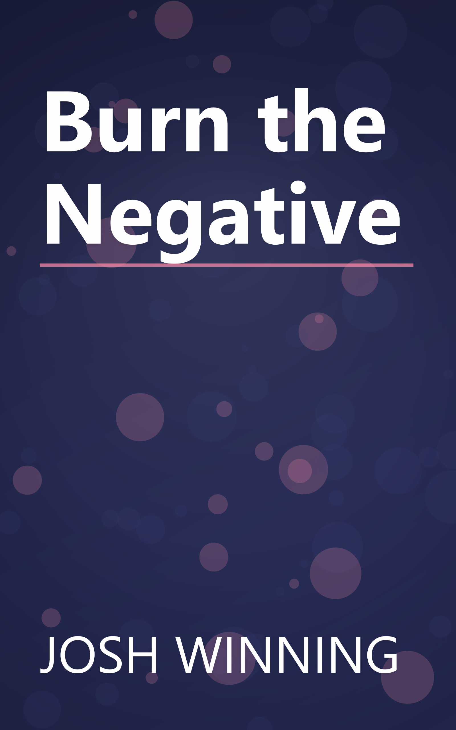 Burn the Negative book cover