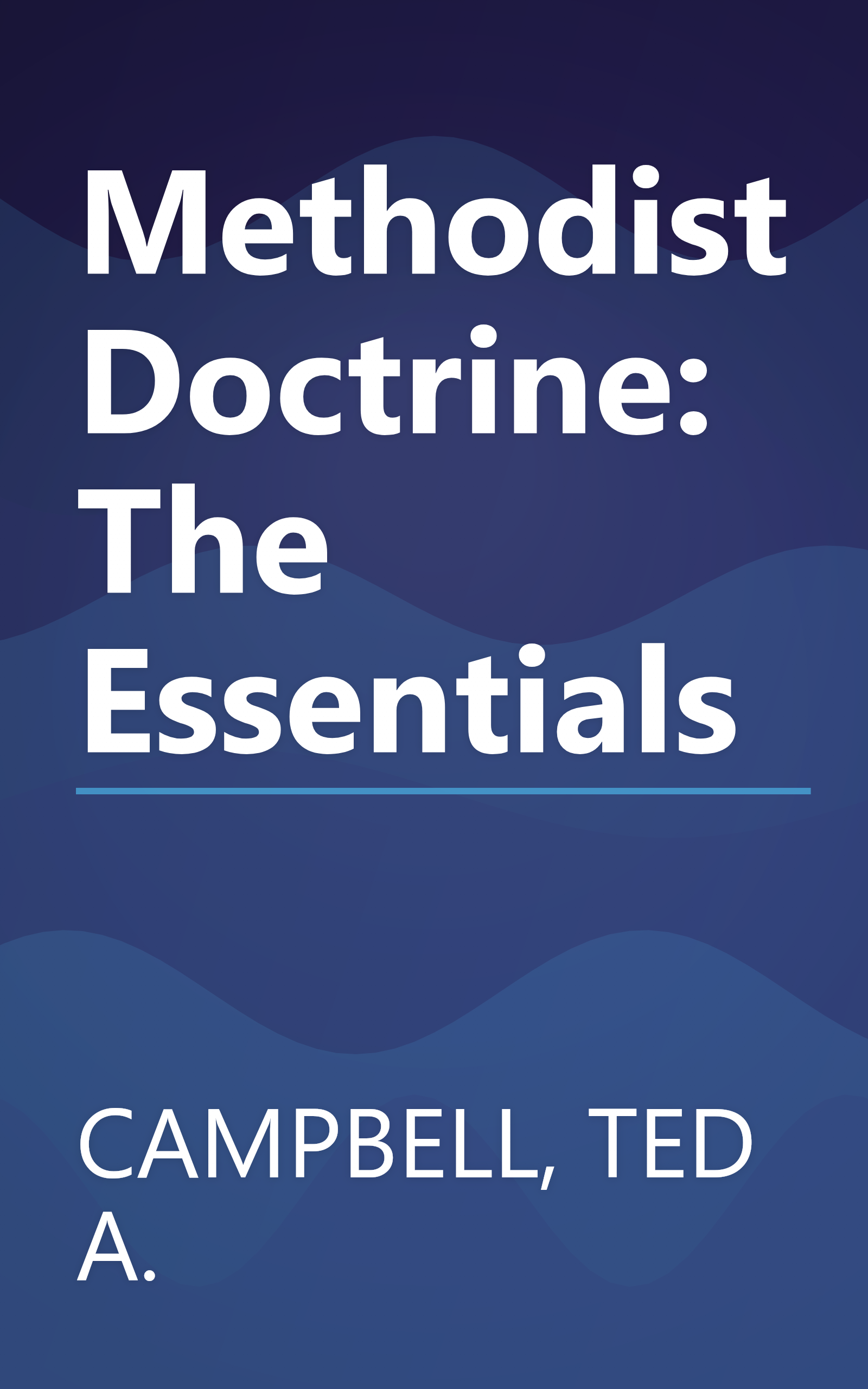 Methodist Doctrine: The Essentials book cover