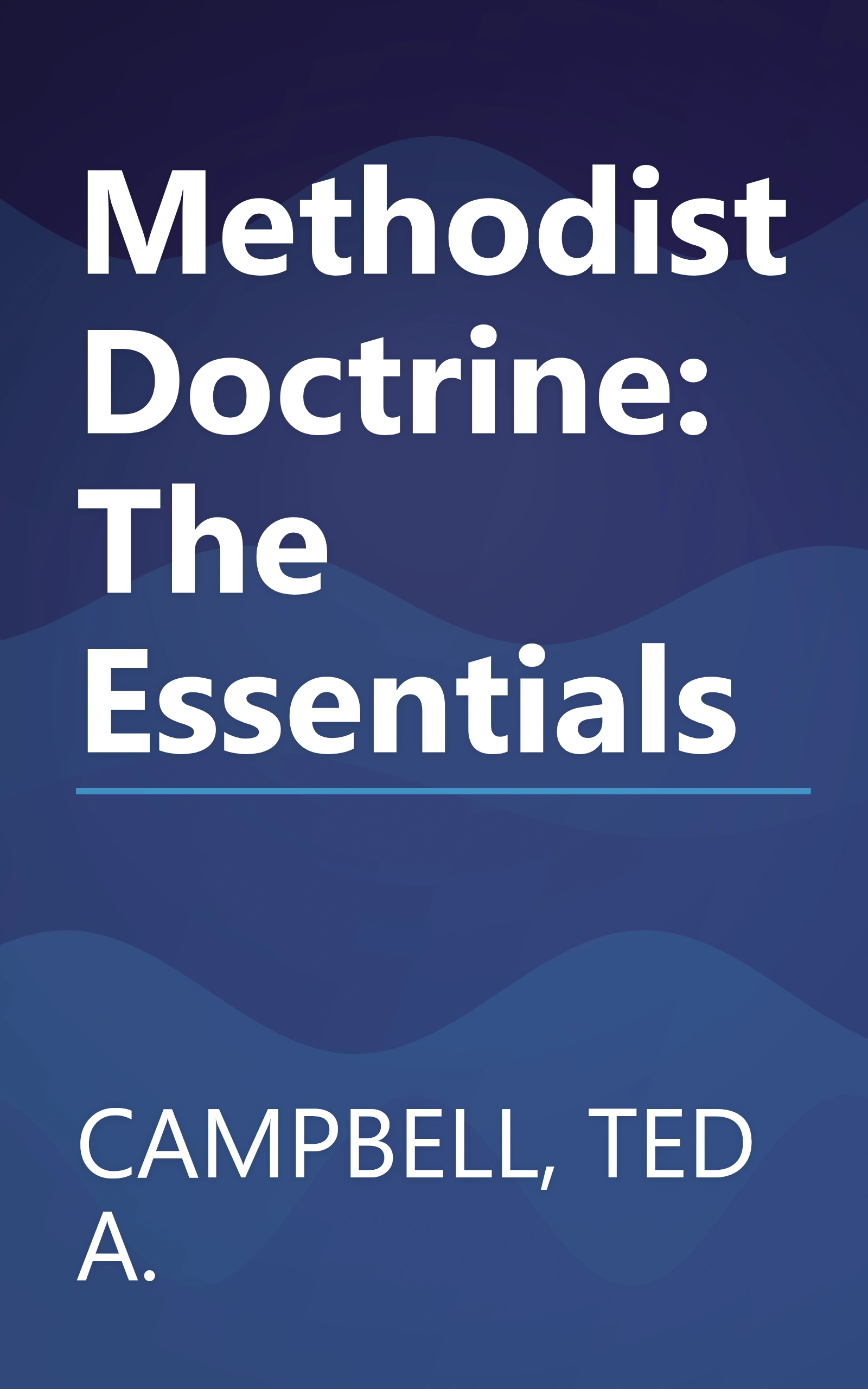 Methodist Doctrine: The Essentials book cover