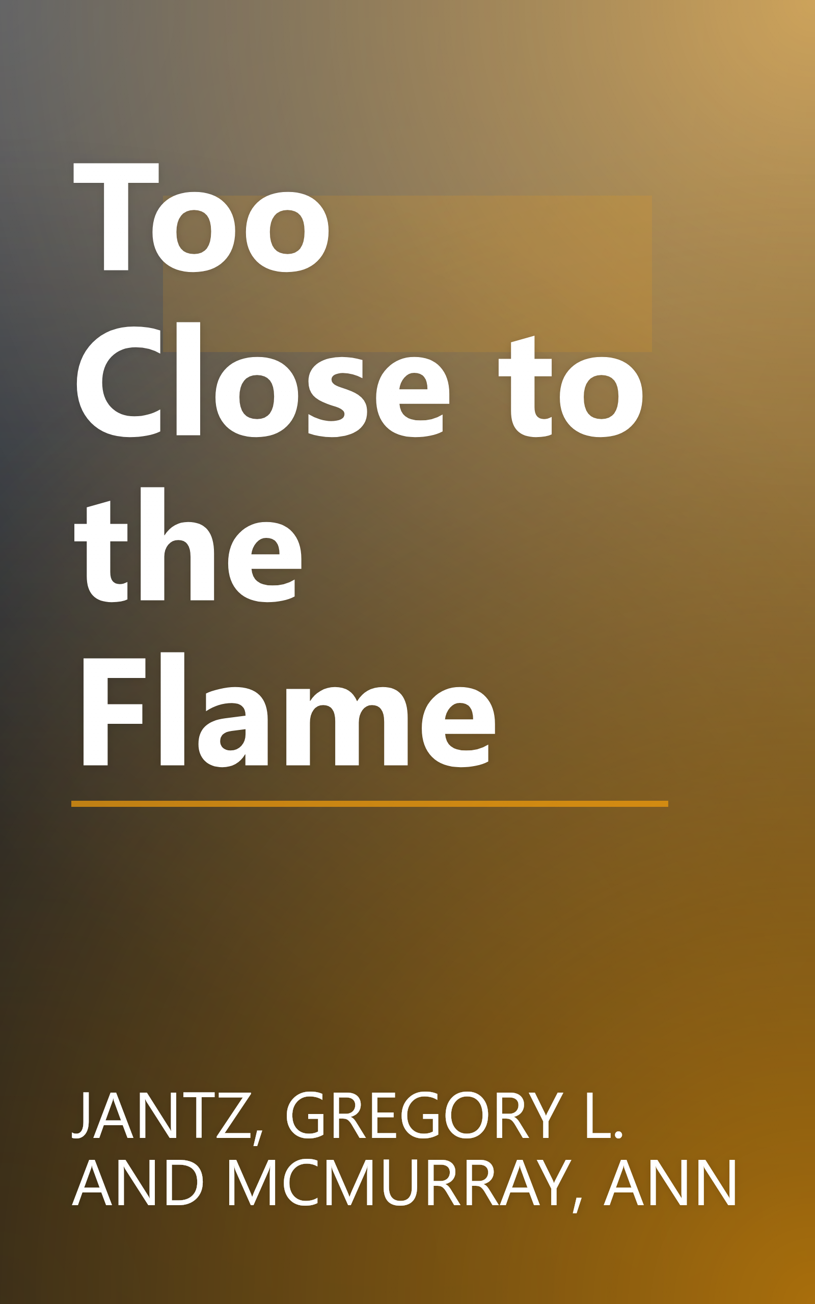 Too Close to the Flame book cover