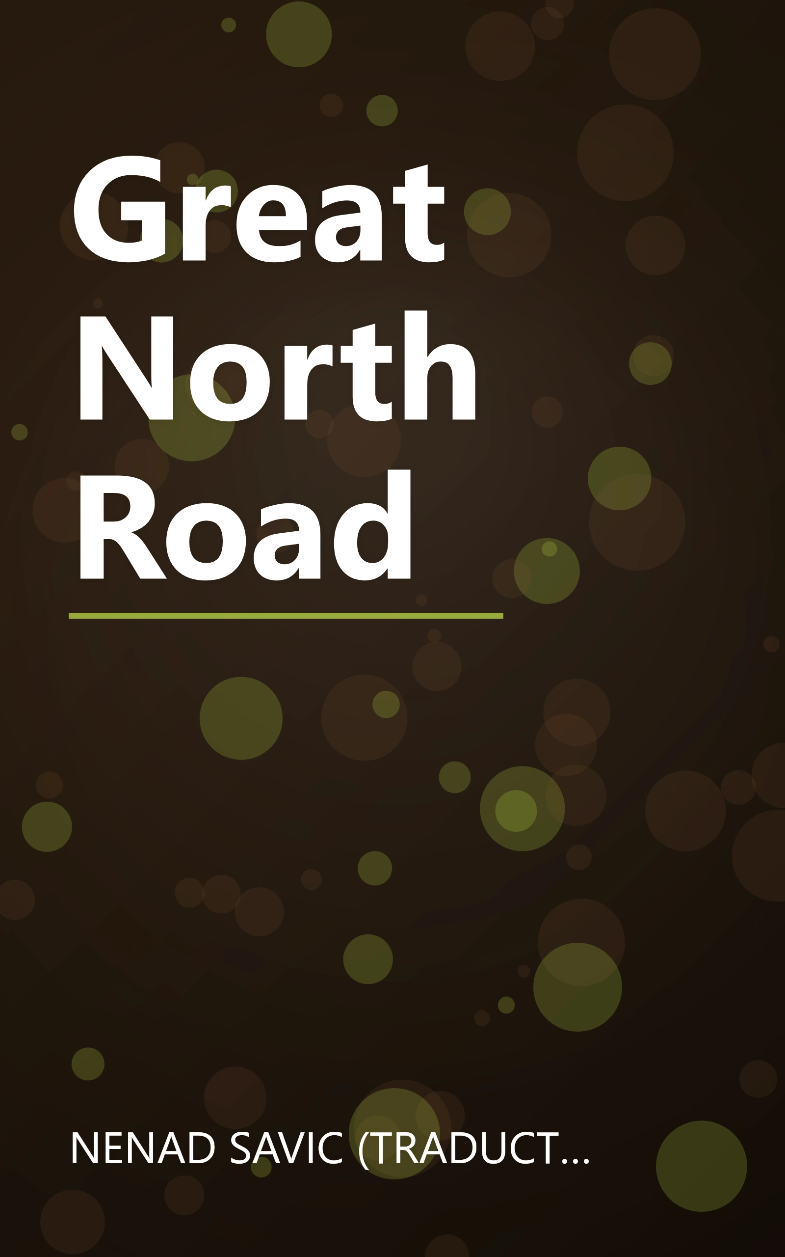 Great North Road book cover