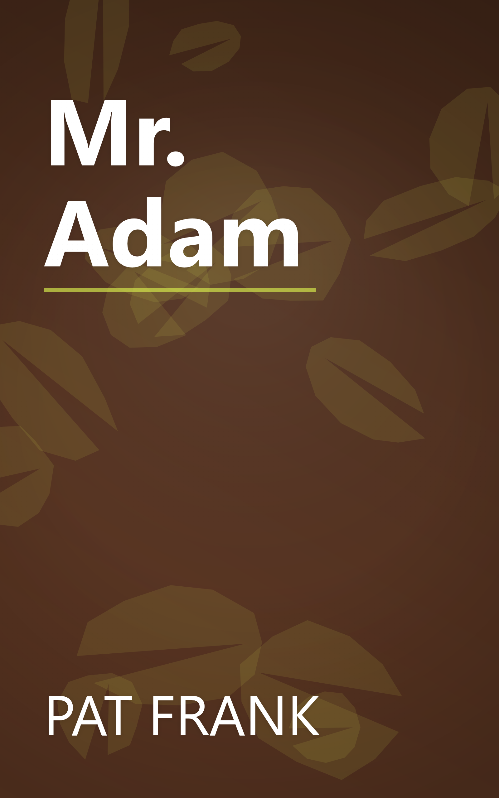 Mr. Adam book cover