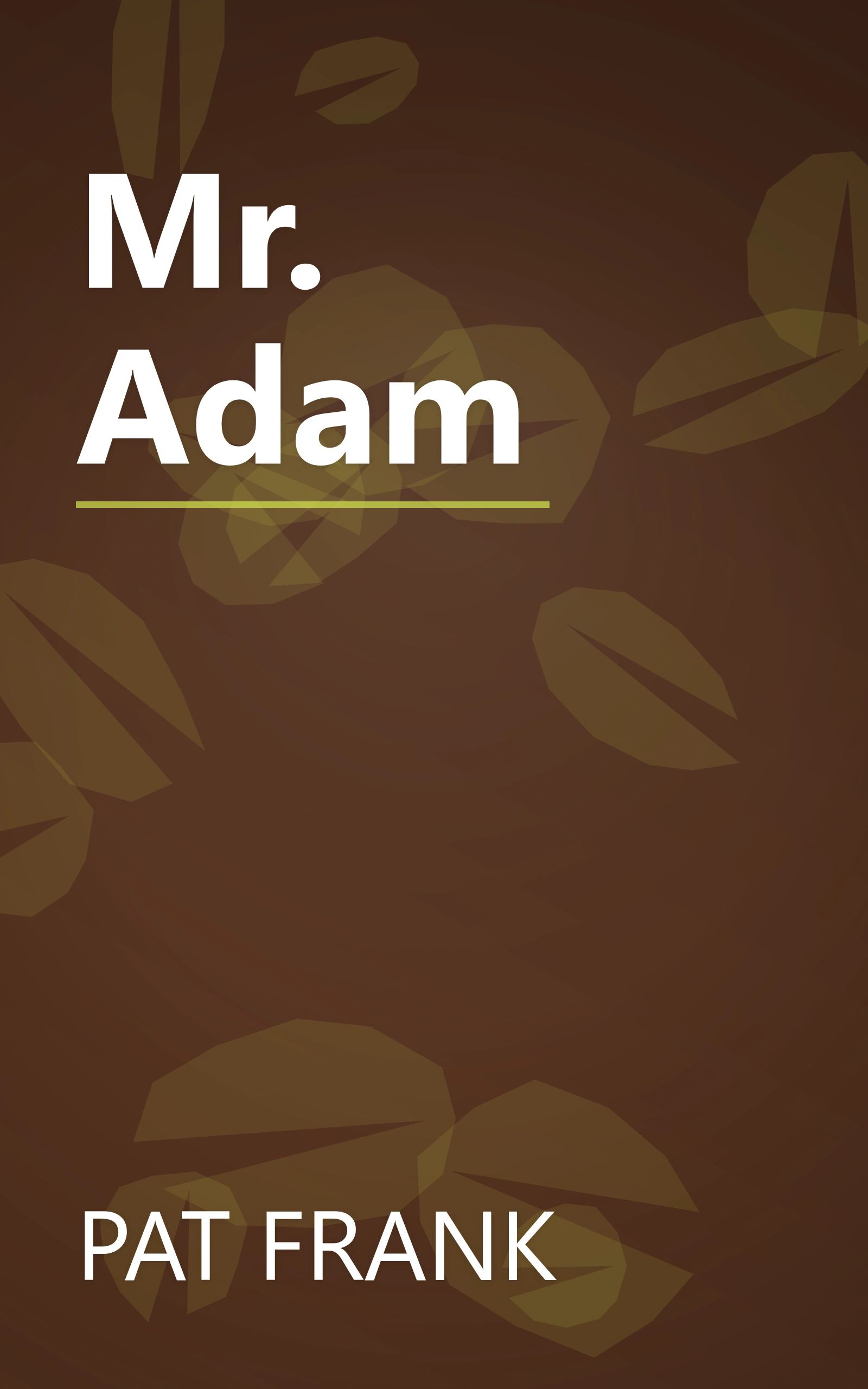 Mr. Adam book cover
