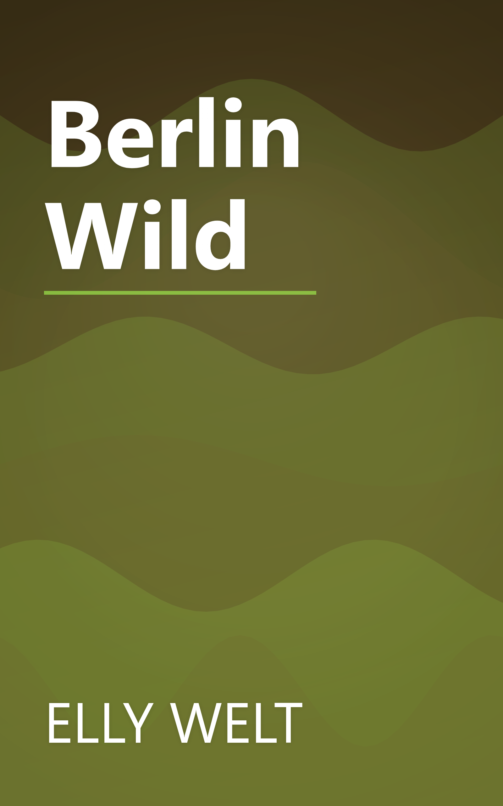 Berlin Wild book cover
