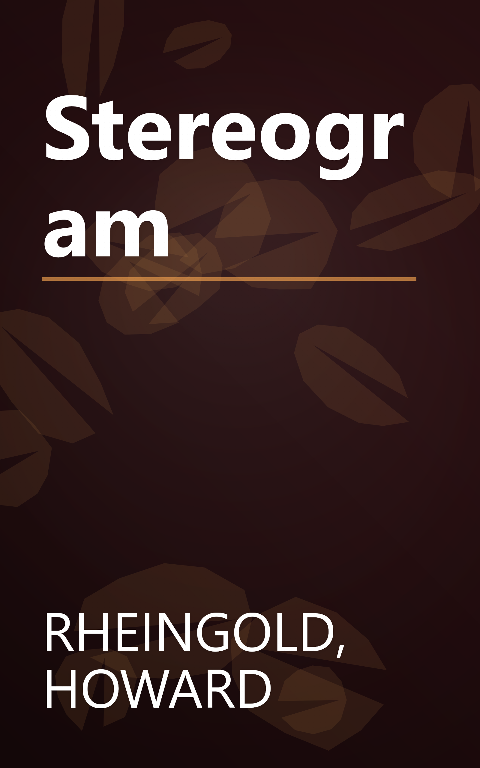 Stereogram book cover