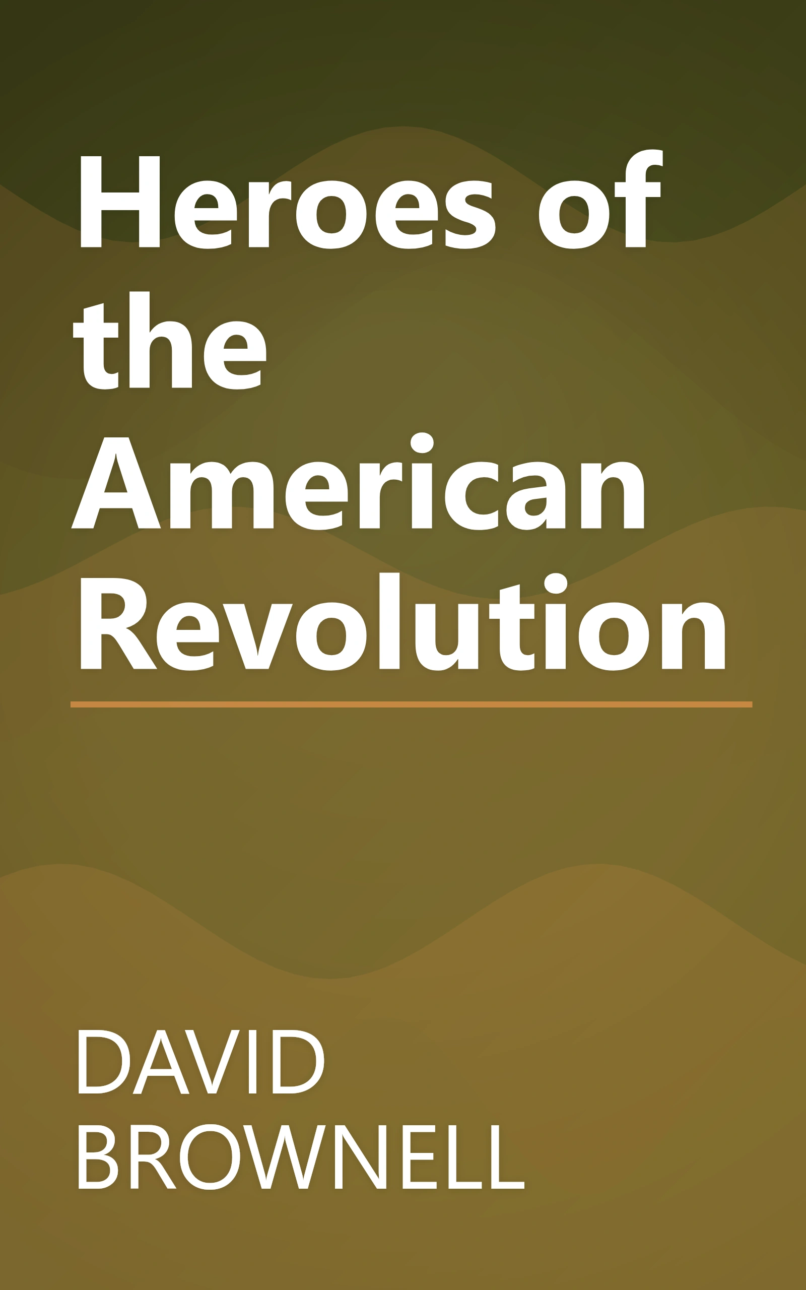 Heroes of the American Revolution book cover