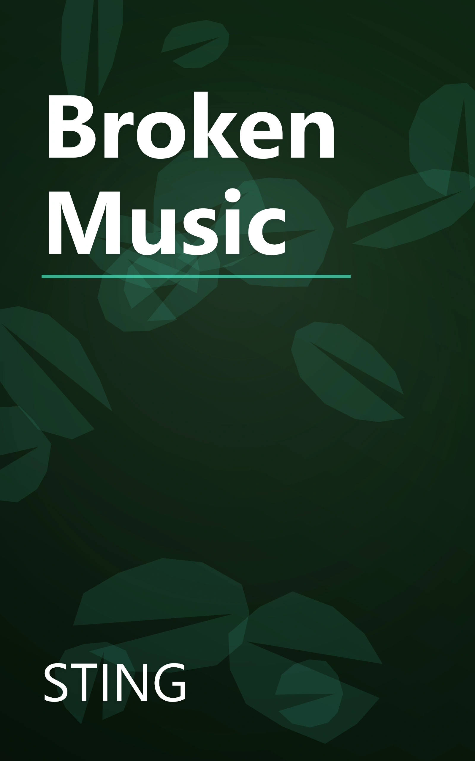 Broken Music book cover