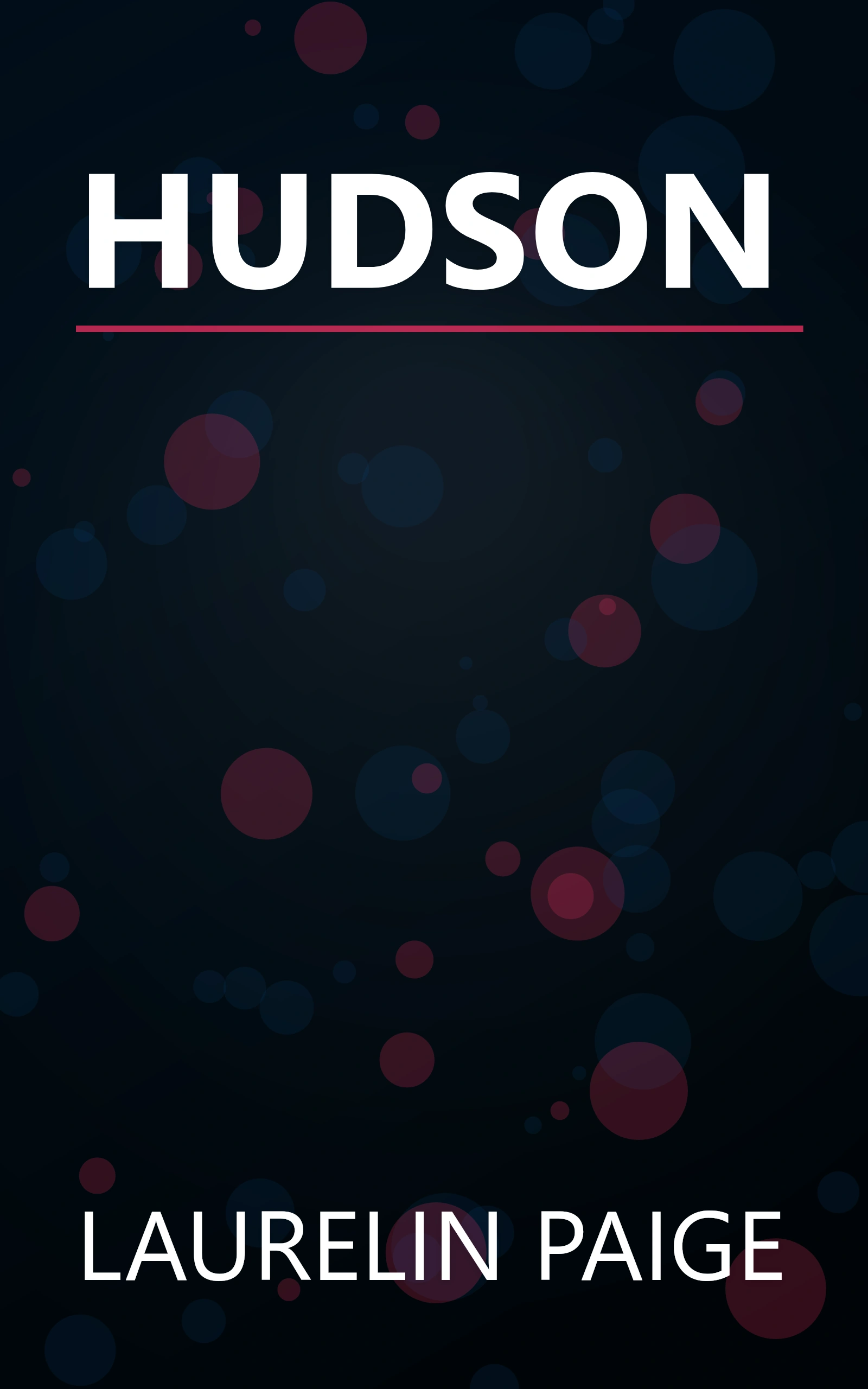 HUDSON book cover