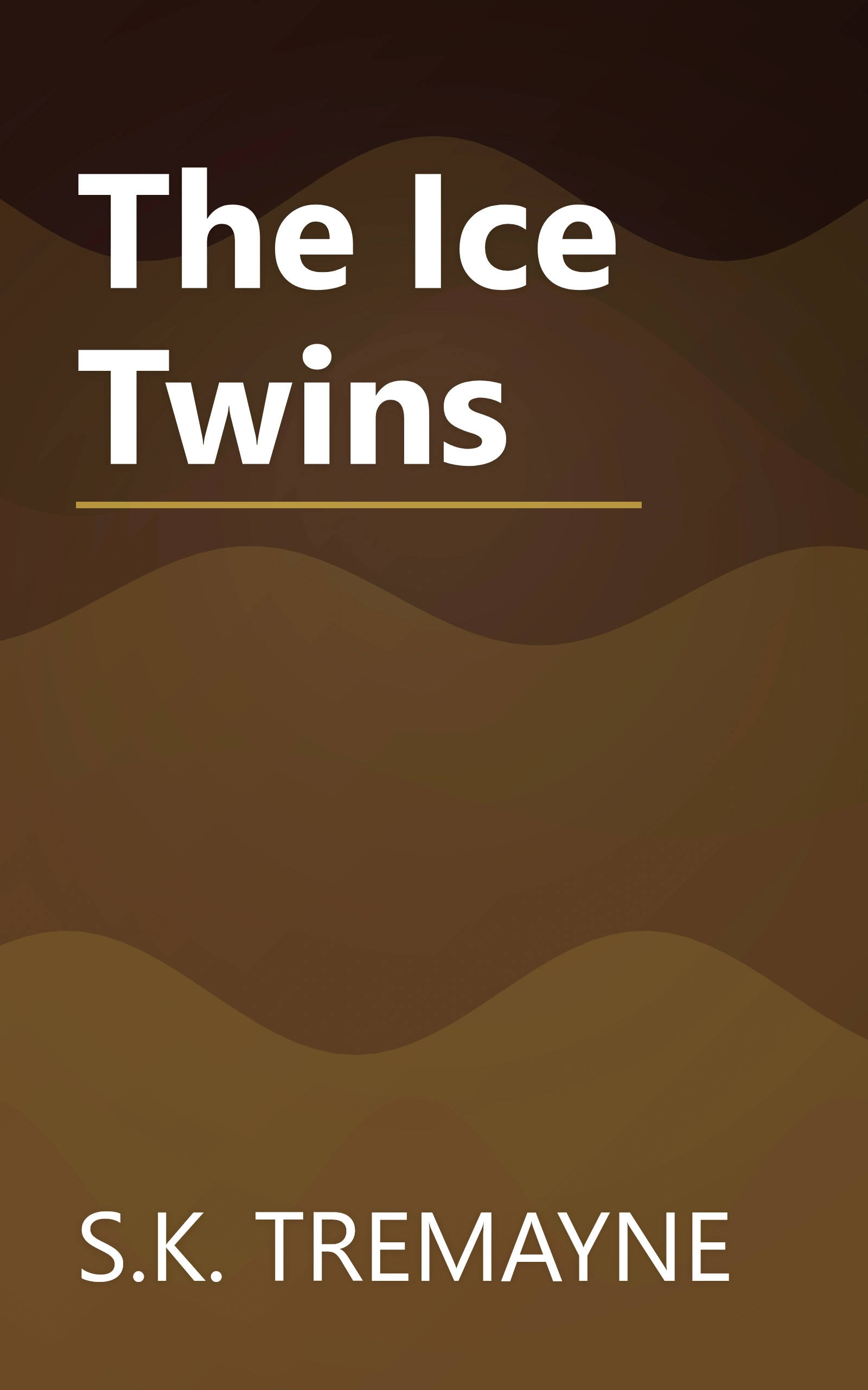 The Ice Twins book cover