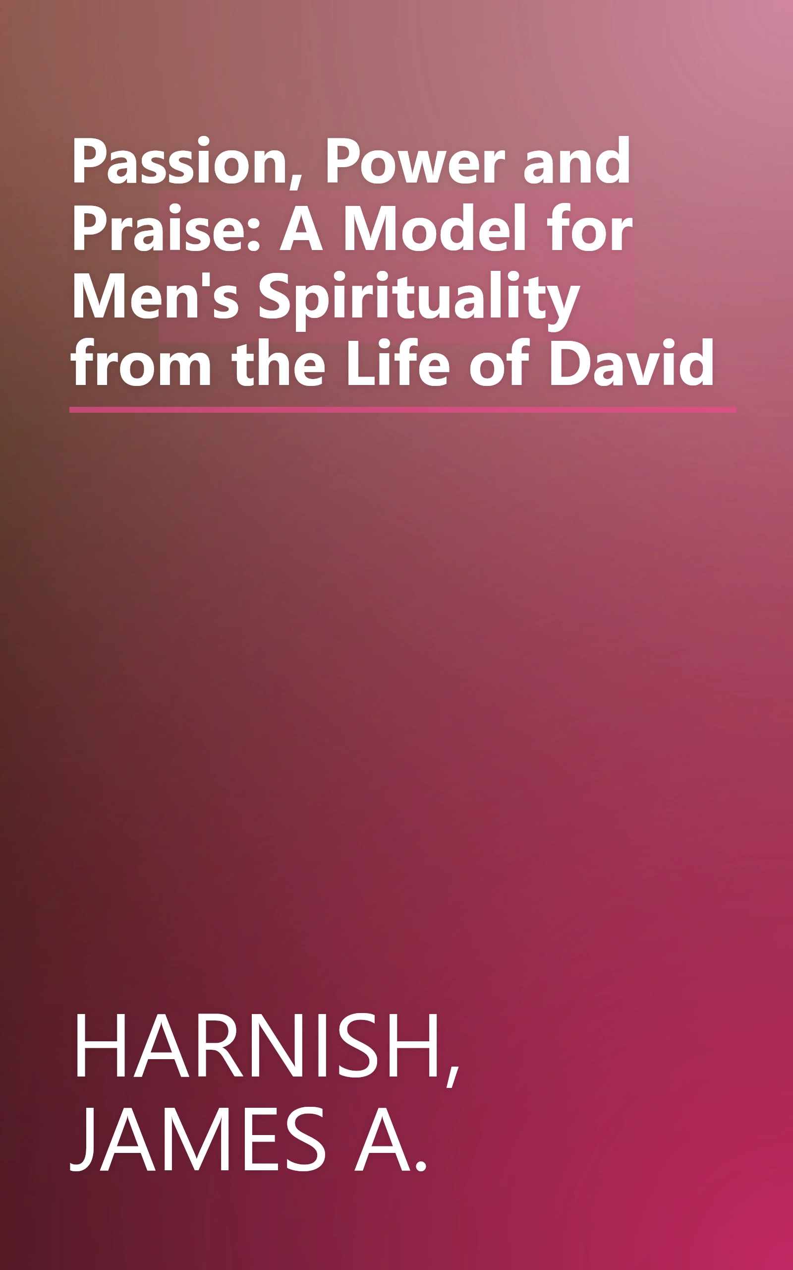 Passion, Power and Praise: A Model for Men's Spirituality from the Life of David book cover