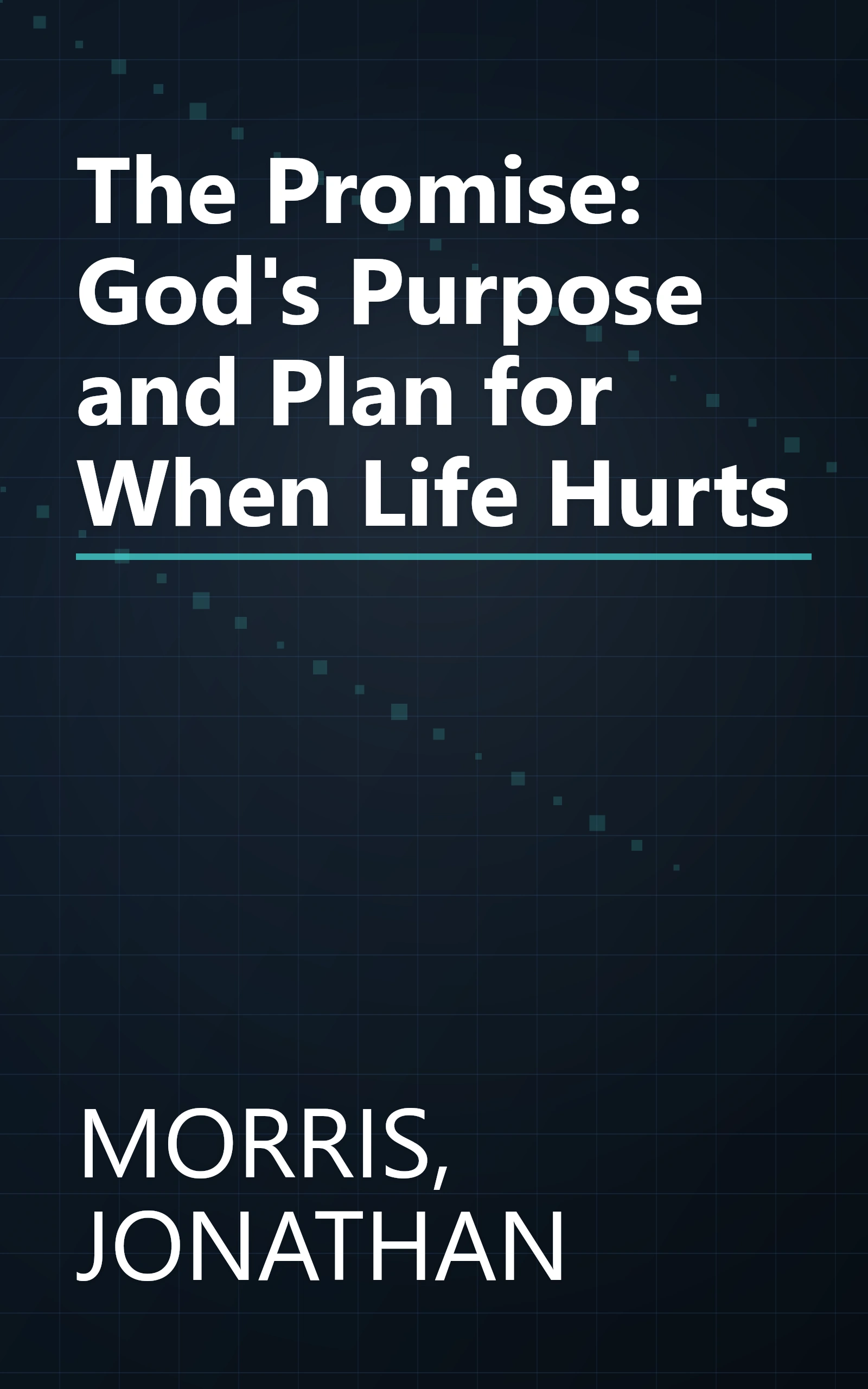 The Promise: God's Purpose and Plan for When Life Hurts book cover