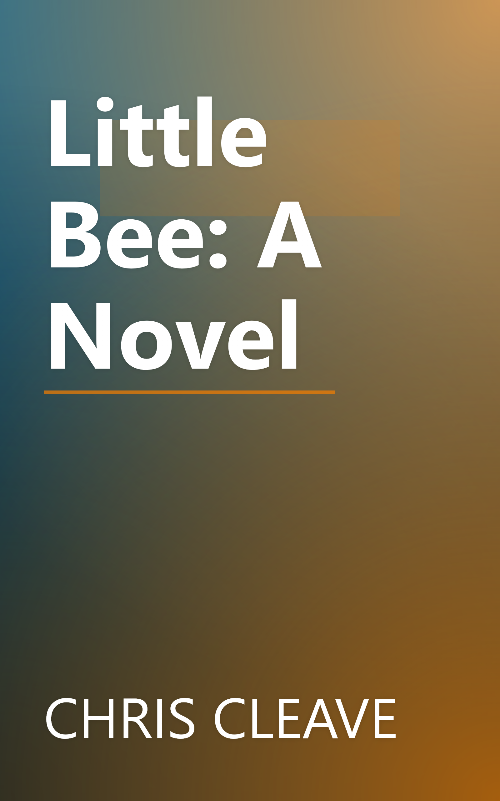 Little Bee: A Novel book cover