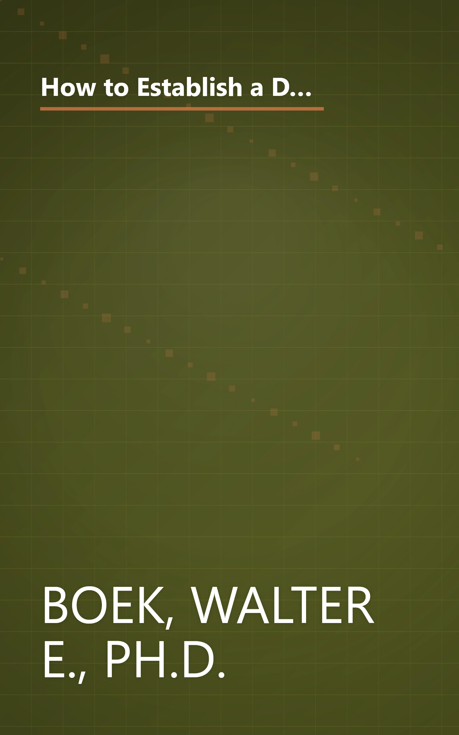 How to Establish a Democracy or Improve the One You Now Have: A Practical Guide for Developing Essential Government and Business Structures and Pers book cover