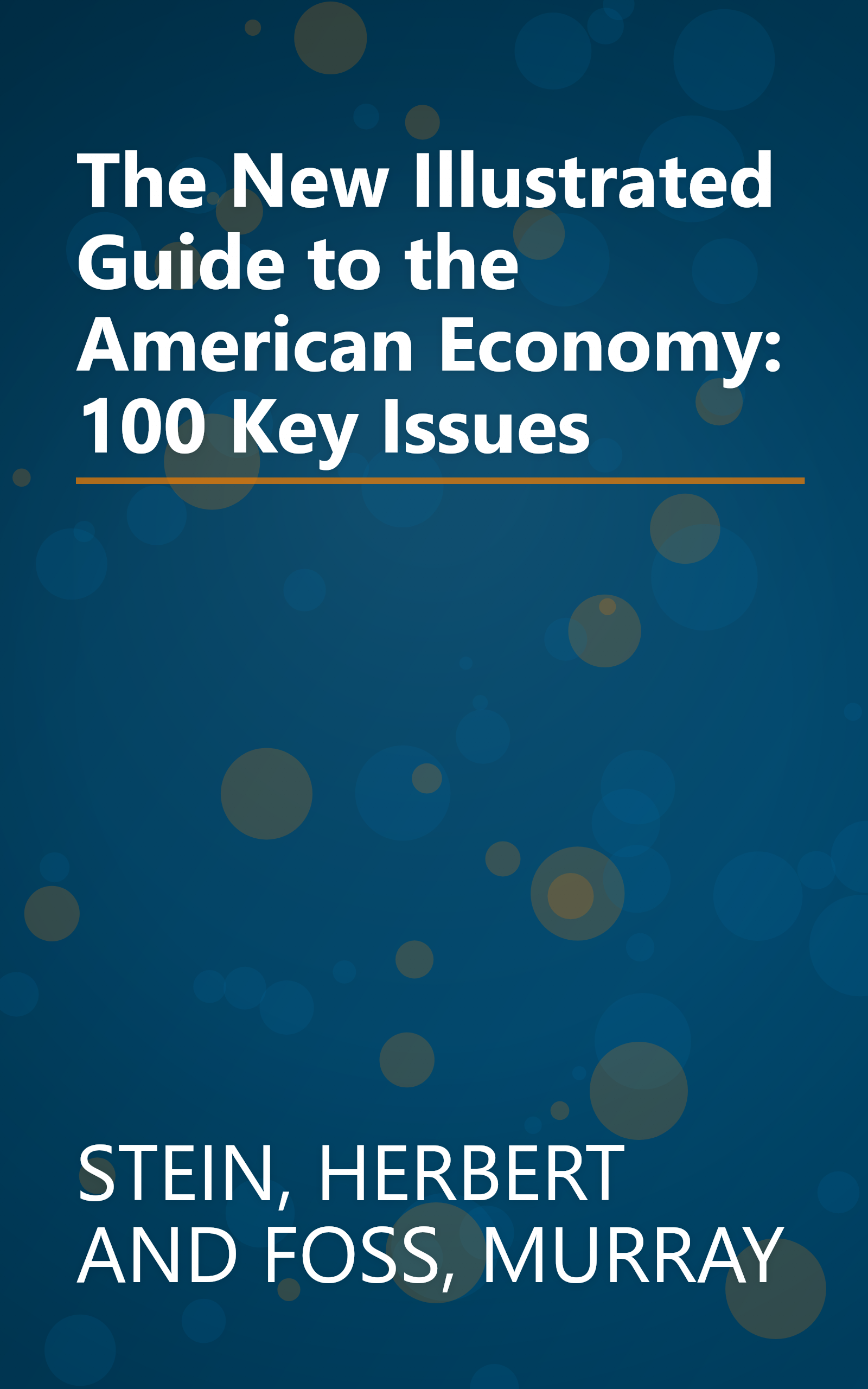 The New Illustrated Guide to the American Economy: 100 Key Issues book cover