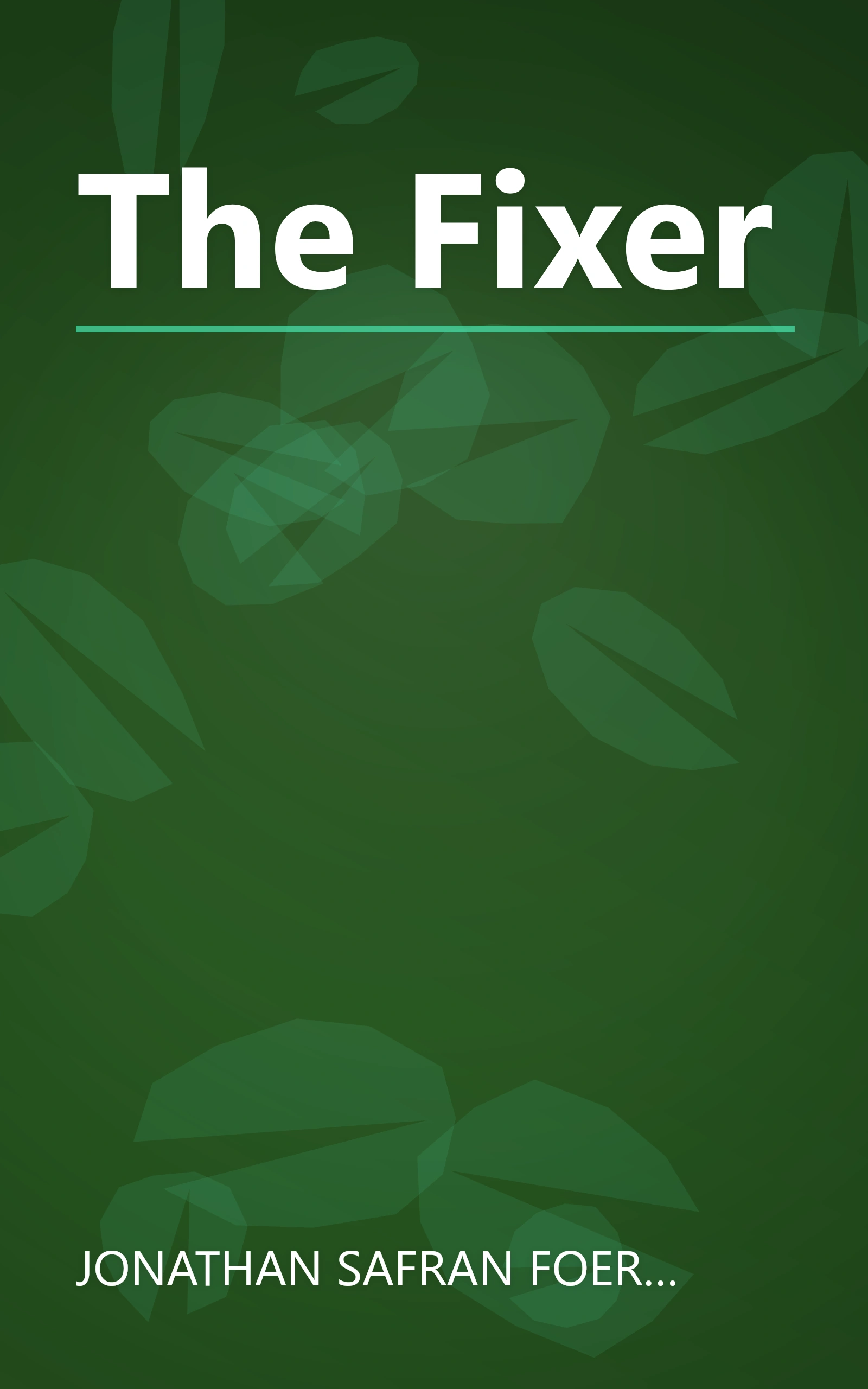 The Fixer book cover