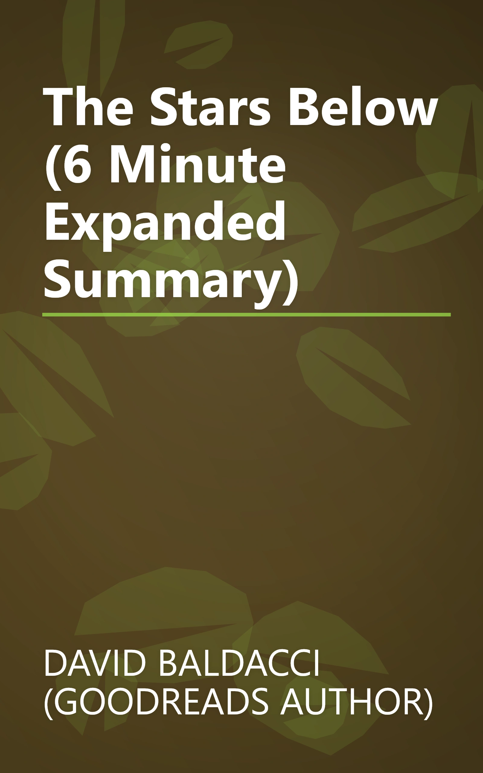 The Stars Below (6 Minute   Expanded Summary) book cover