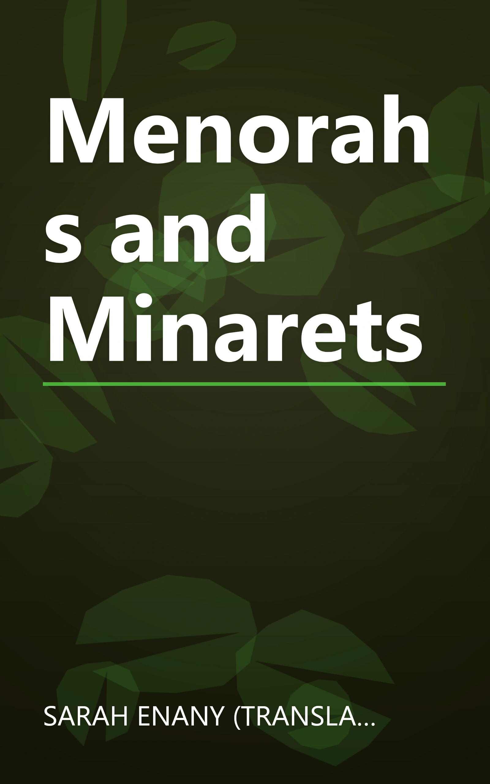 Menorahs and Minarets book cover