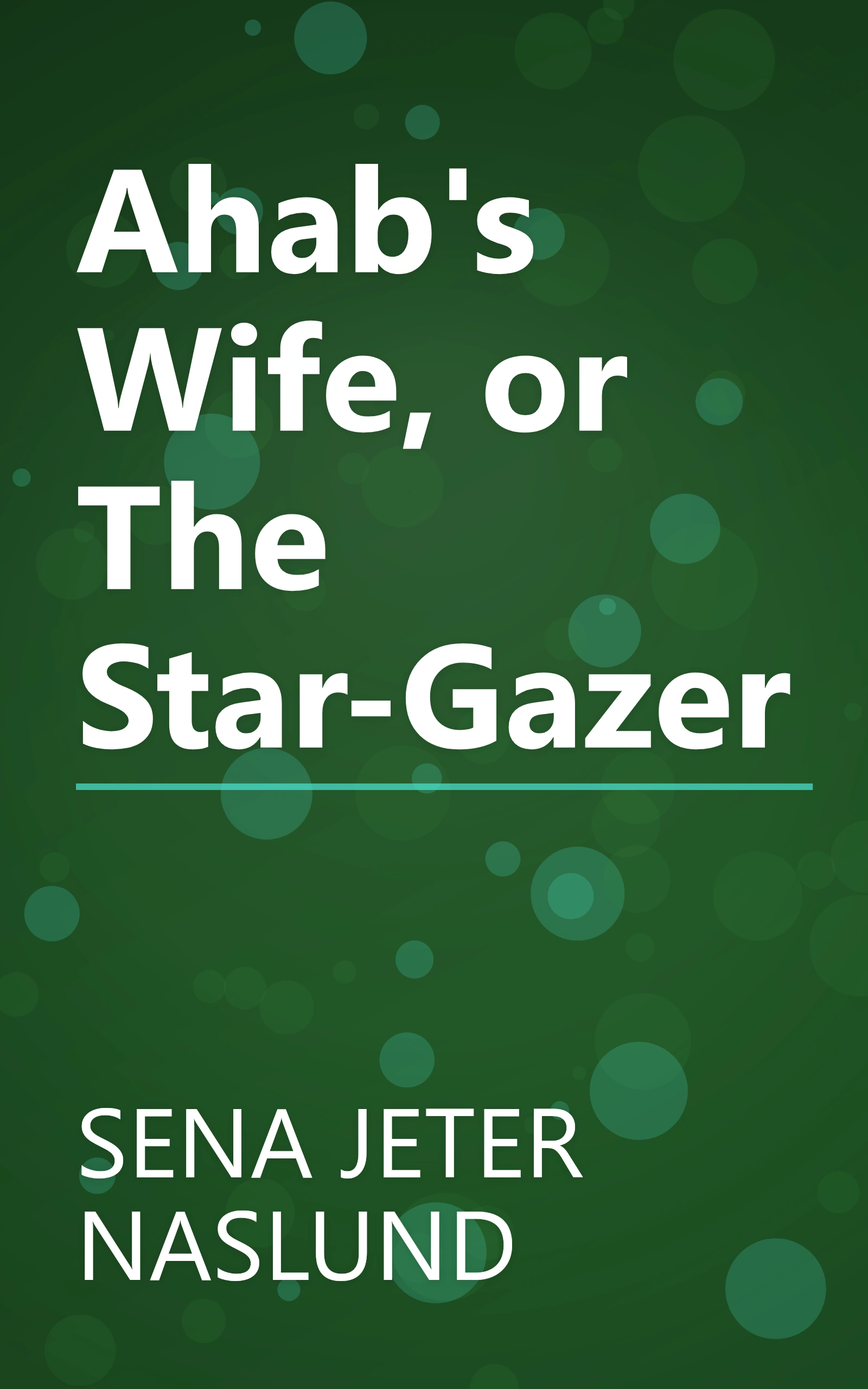 Ahab's Wife, or The Star-Gazer book cover