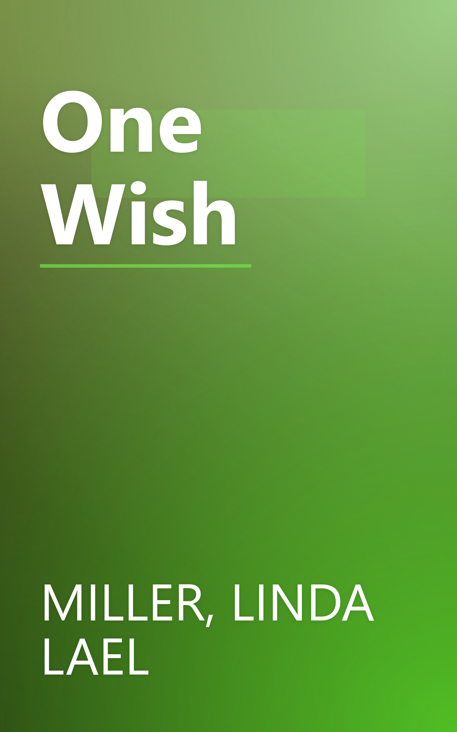 One Wish book cover