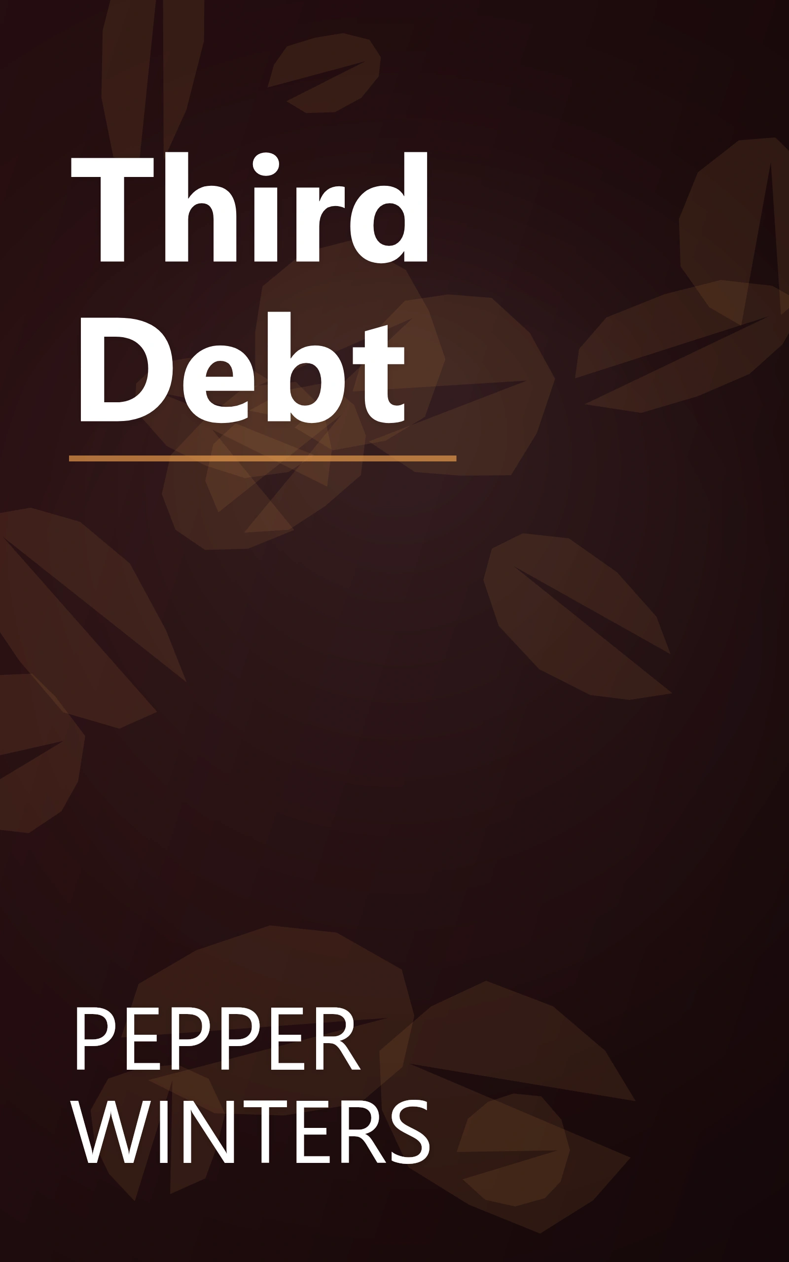 Third Debt book cover