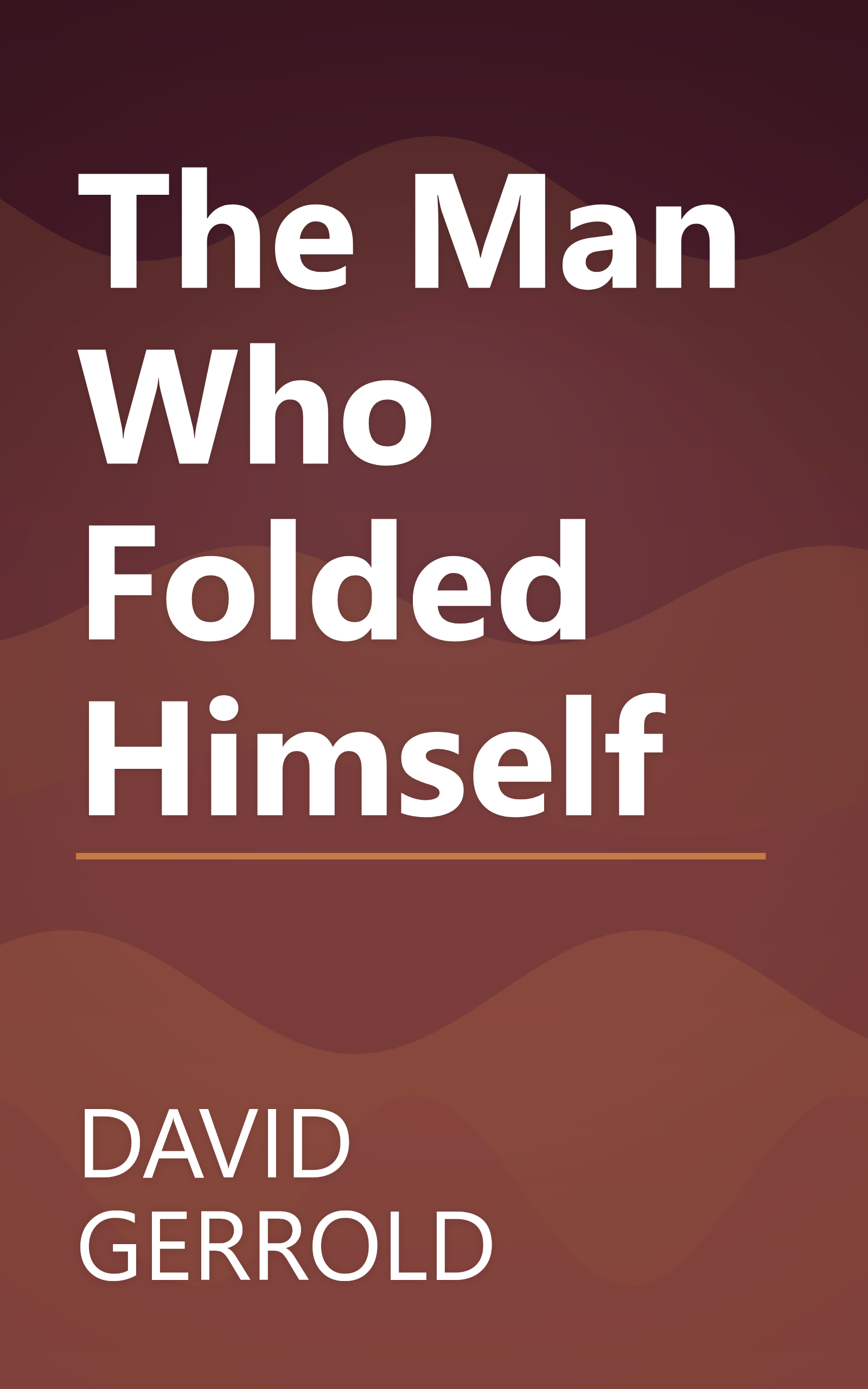 The Man Who Folded Himself book cover